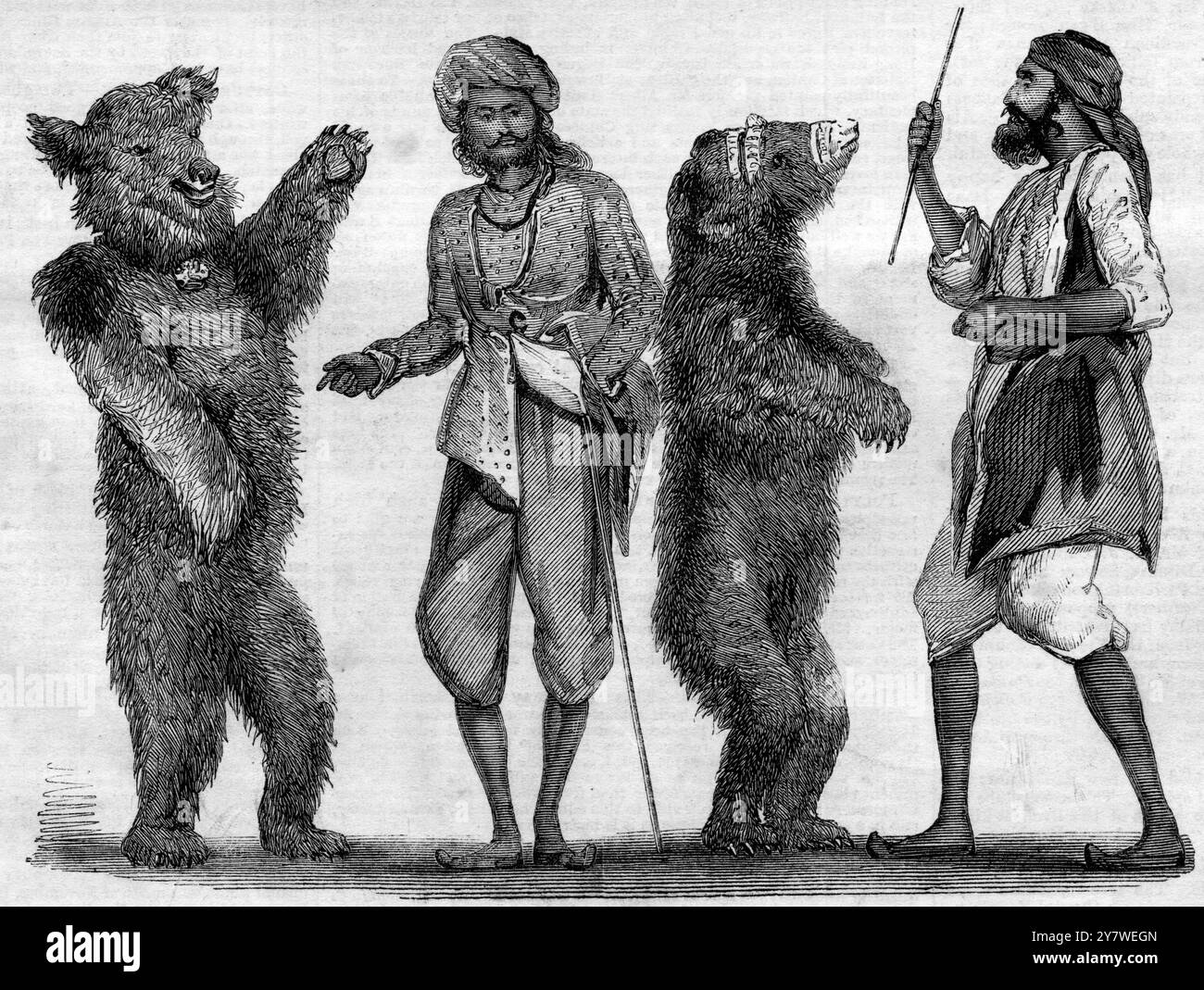 Bears of india hi-res stock photography and images - Alamy