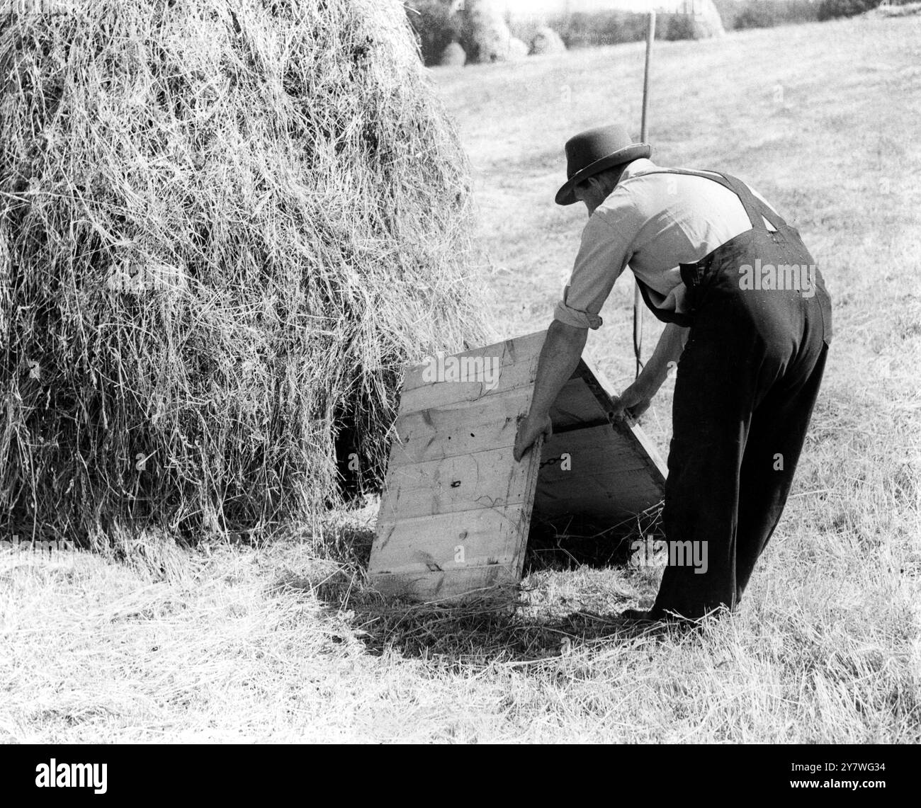 Tripoding Hay pushing in the hinged ventiator boards undated Stock ...