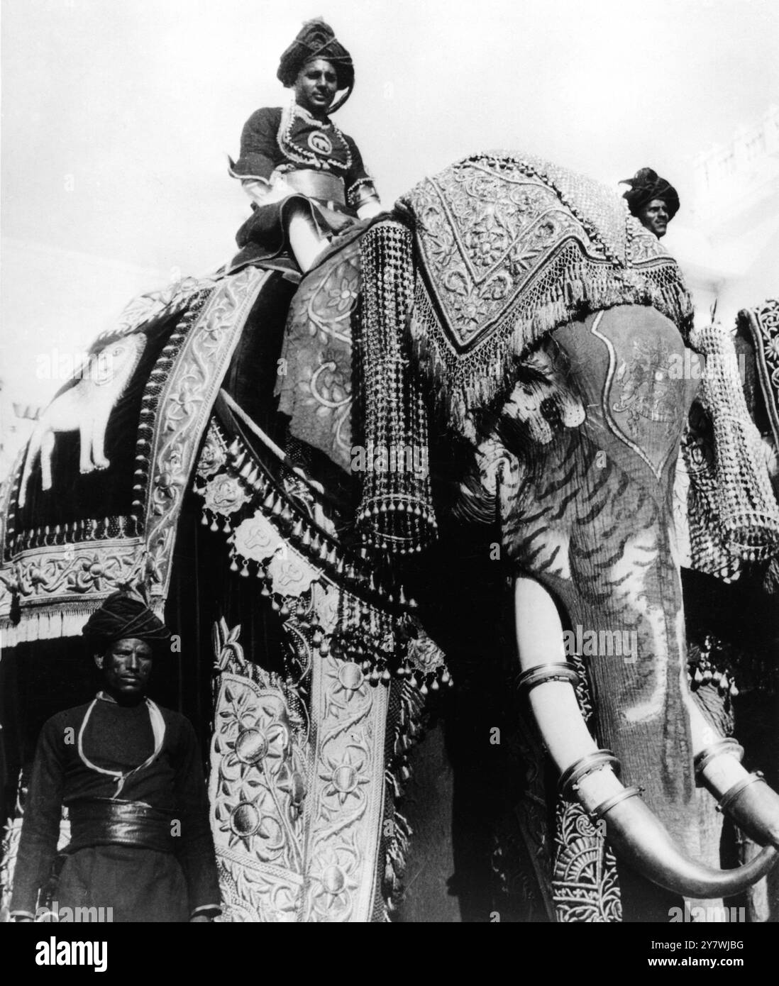 Trunk painted Black and White Stock Photos & Images - Alamy