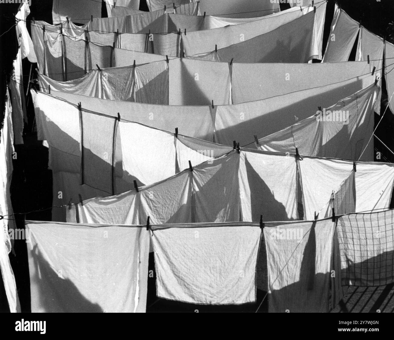 Wash day - a crisscross of washing lines drying the laundry , a ...