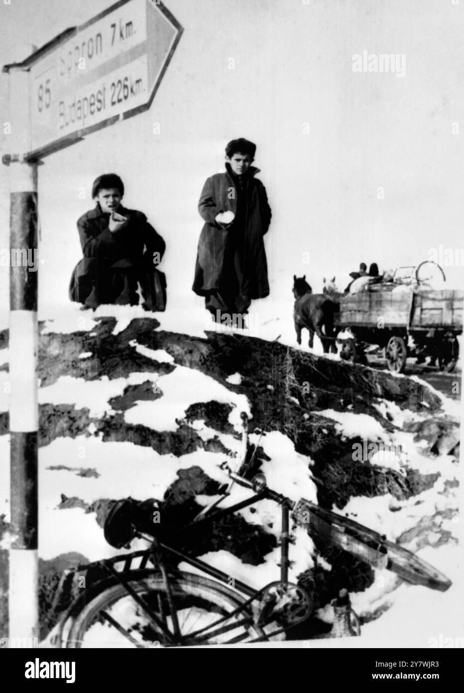 Two young Hungarian boys stand on a hill at the Austrian - Hungarian ...