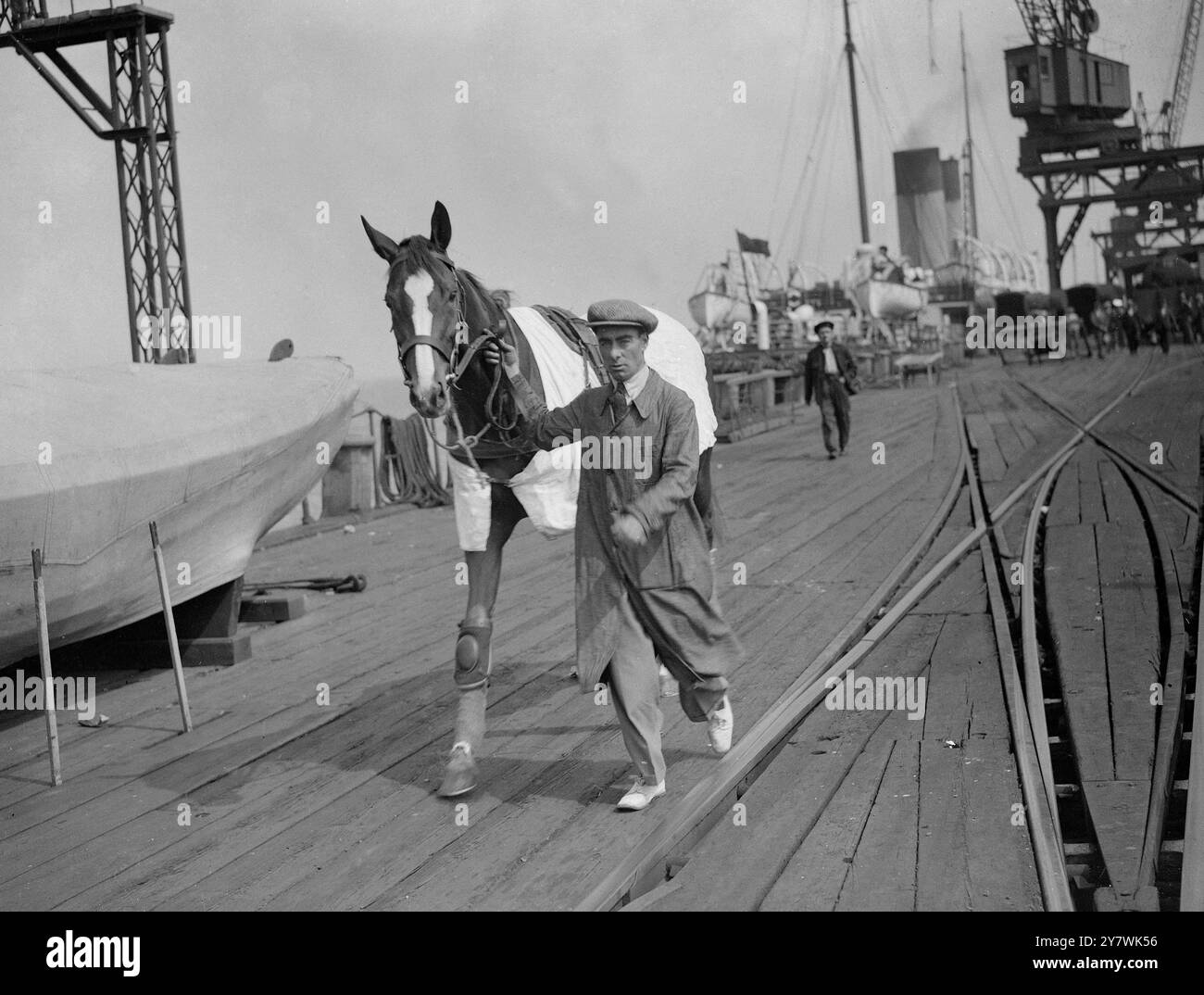 Folkestone Harbour , Kent , England . French horses arrive for the ...