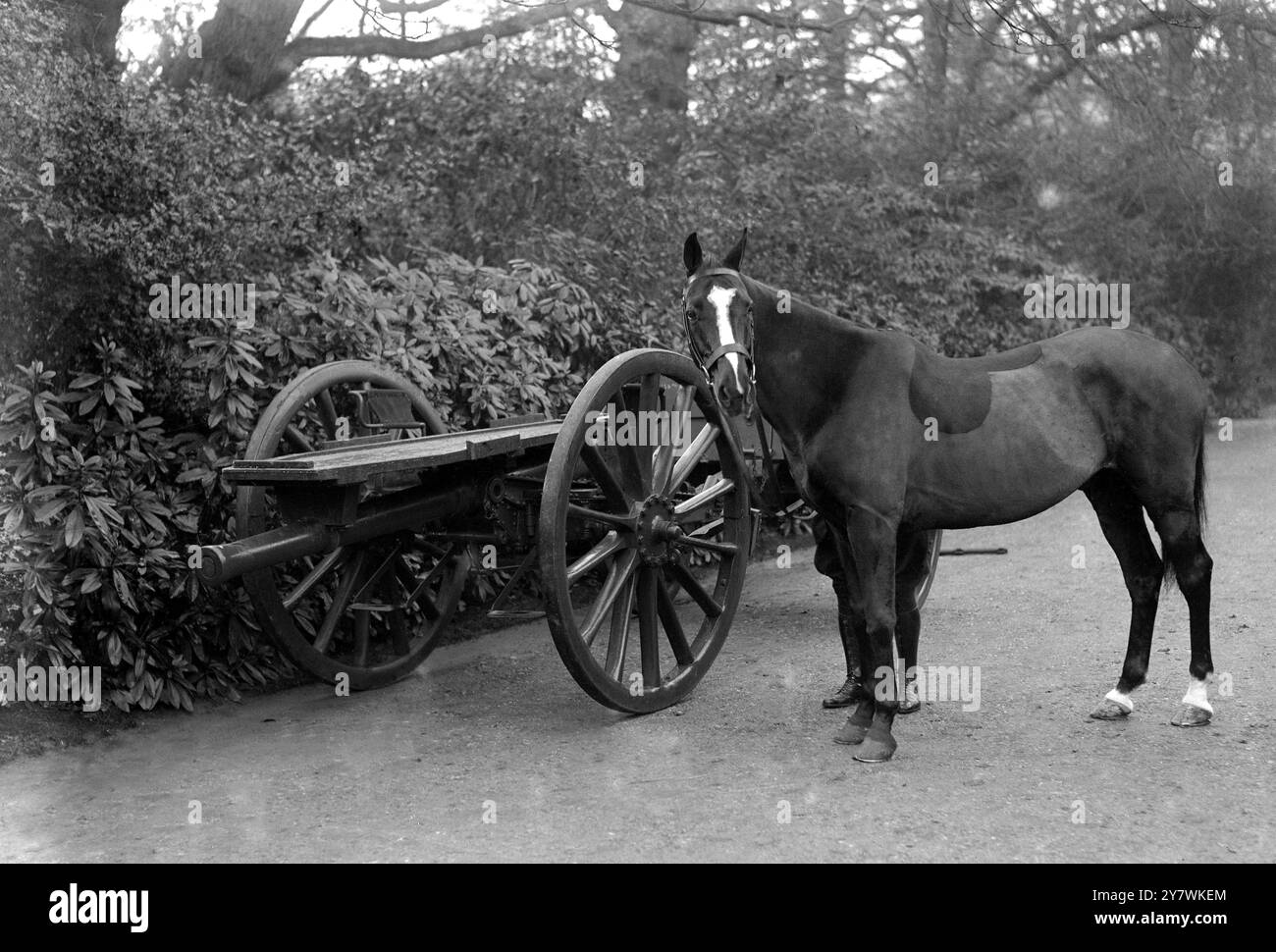 Lord Frederick Sleigh Roberts ( Field Marshal Lord Roberts of Kandahar ...