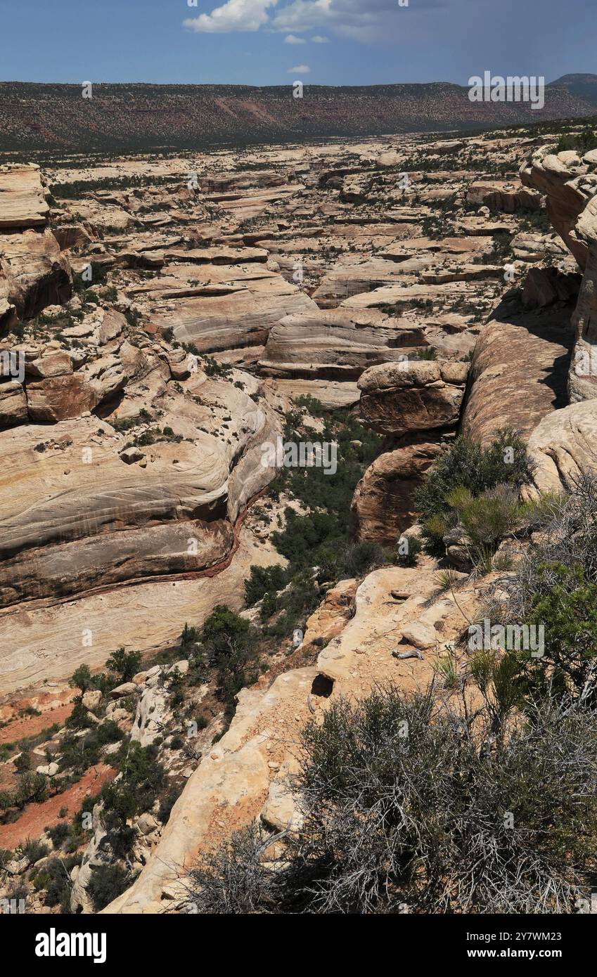 Horse Collar Overlook and Sipapu Bridge, Natural Bridges National ...