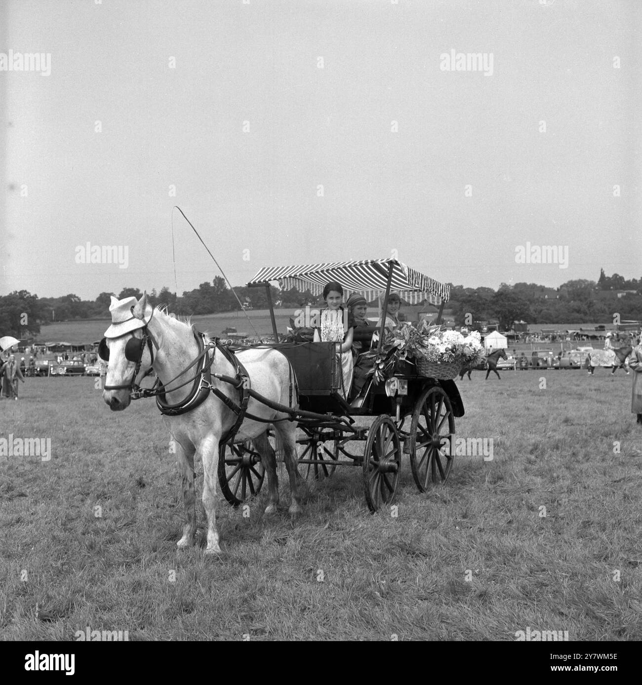 The Edenbridge and Oxted Show - 2 August 1960 An attractive turnout in ...