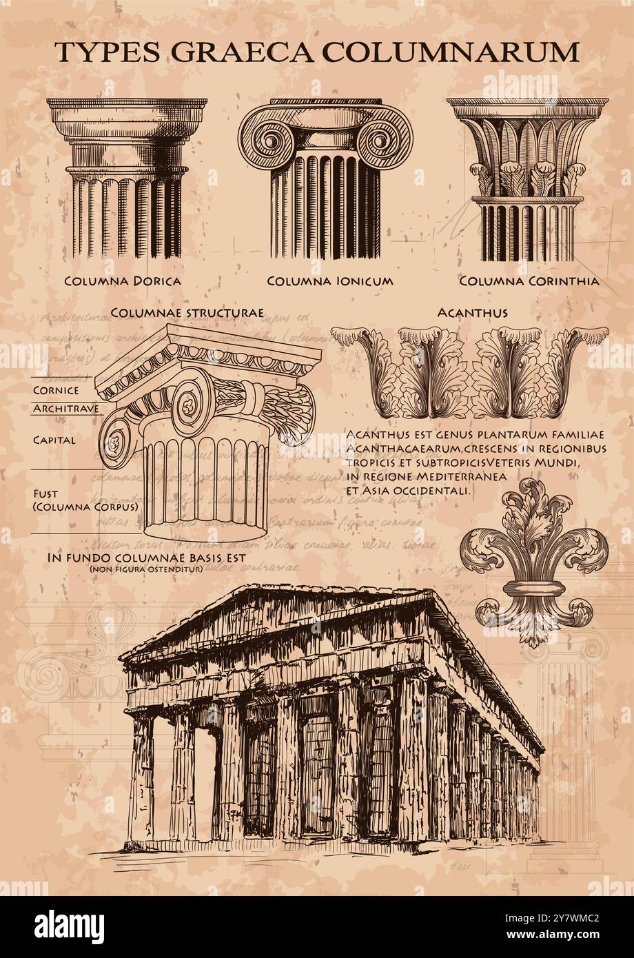 Poster types of greek columns Stock Vector Image & Art - Alamy