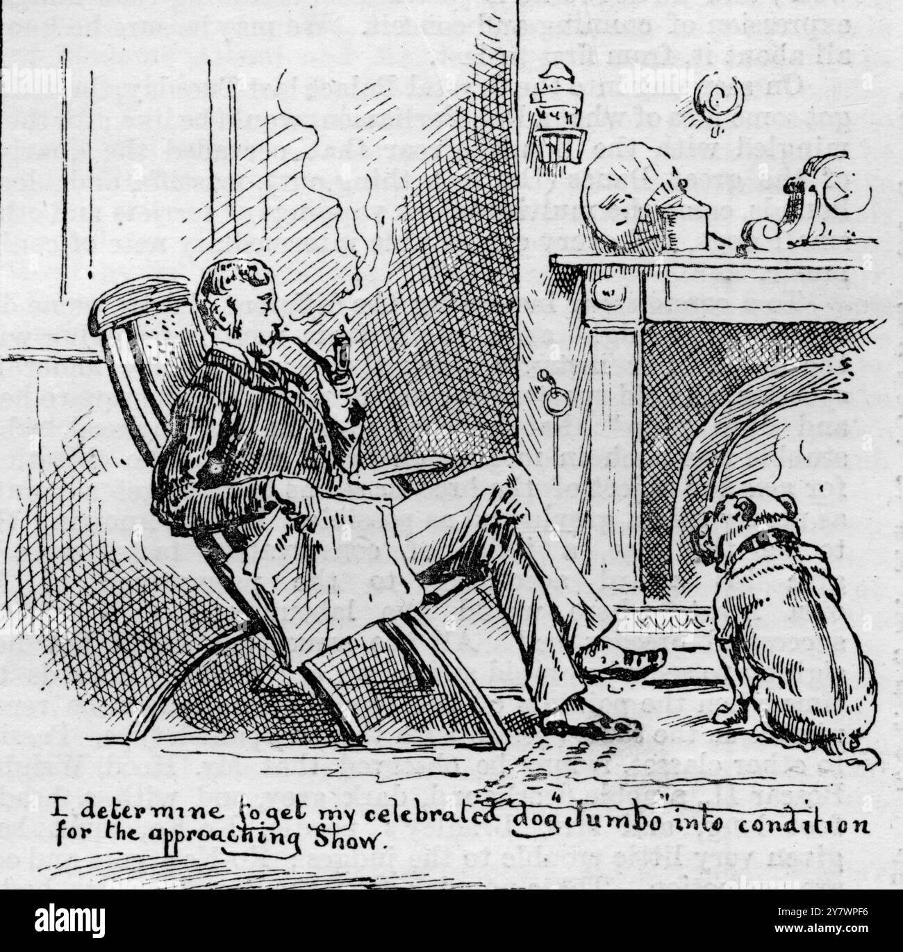 Preparing for the Dog Show . 6 February 1886 Kennel Club Dog Show 1886 ...