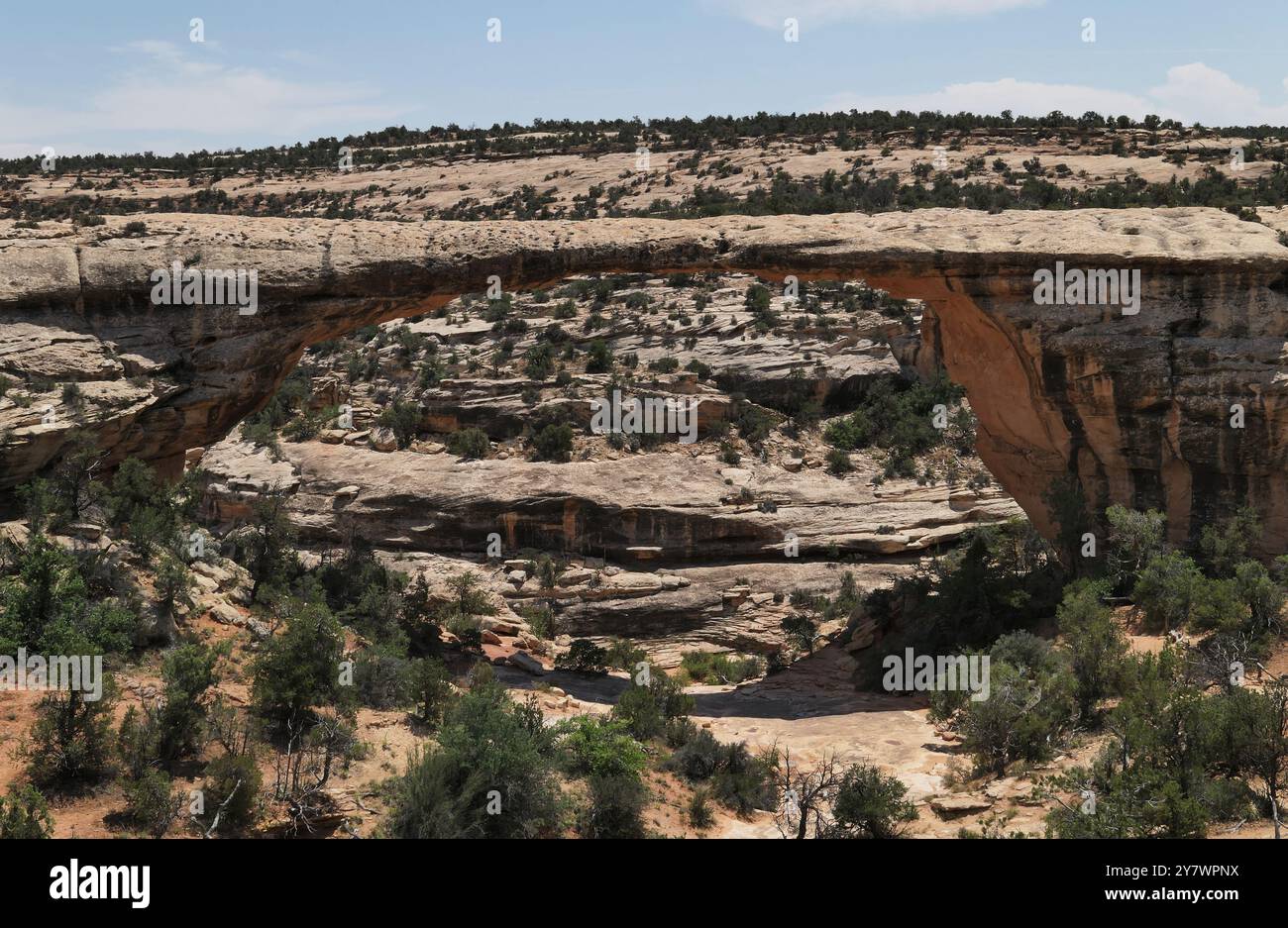 Owachomo Bridge Overlook and Trail, Natural Bridges National Monument ...
