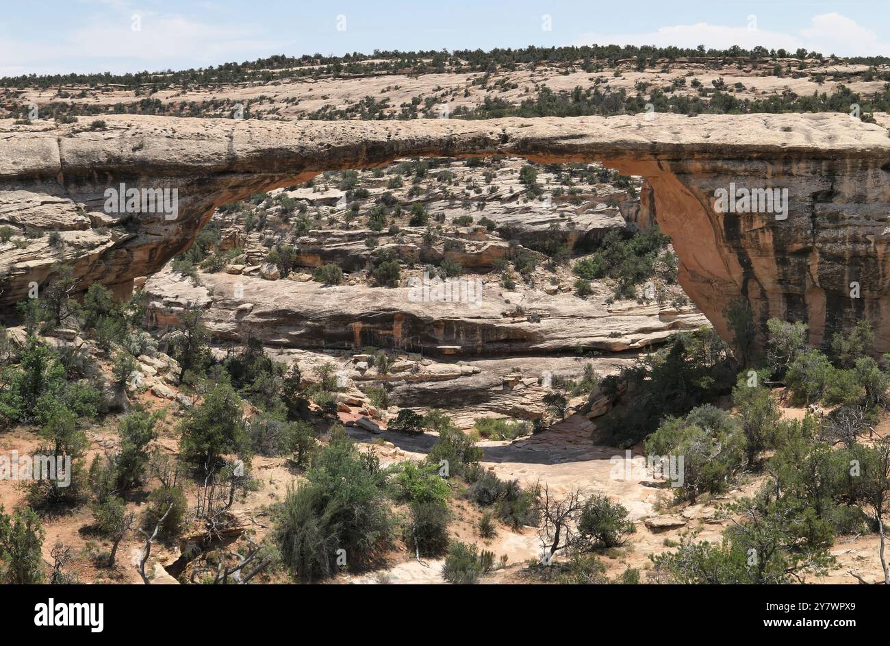 Owachomo Bridge Overlook and Trail, Natural Bridges National Monument ...