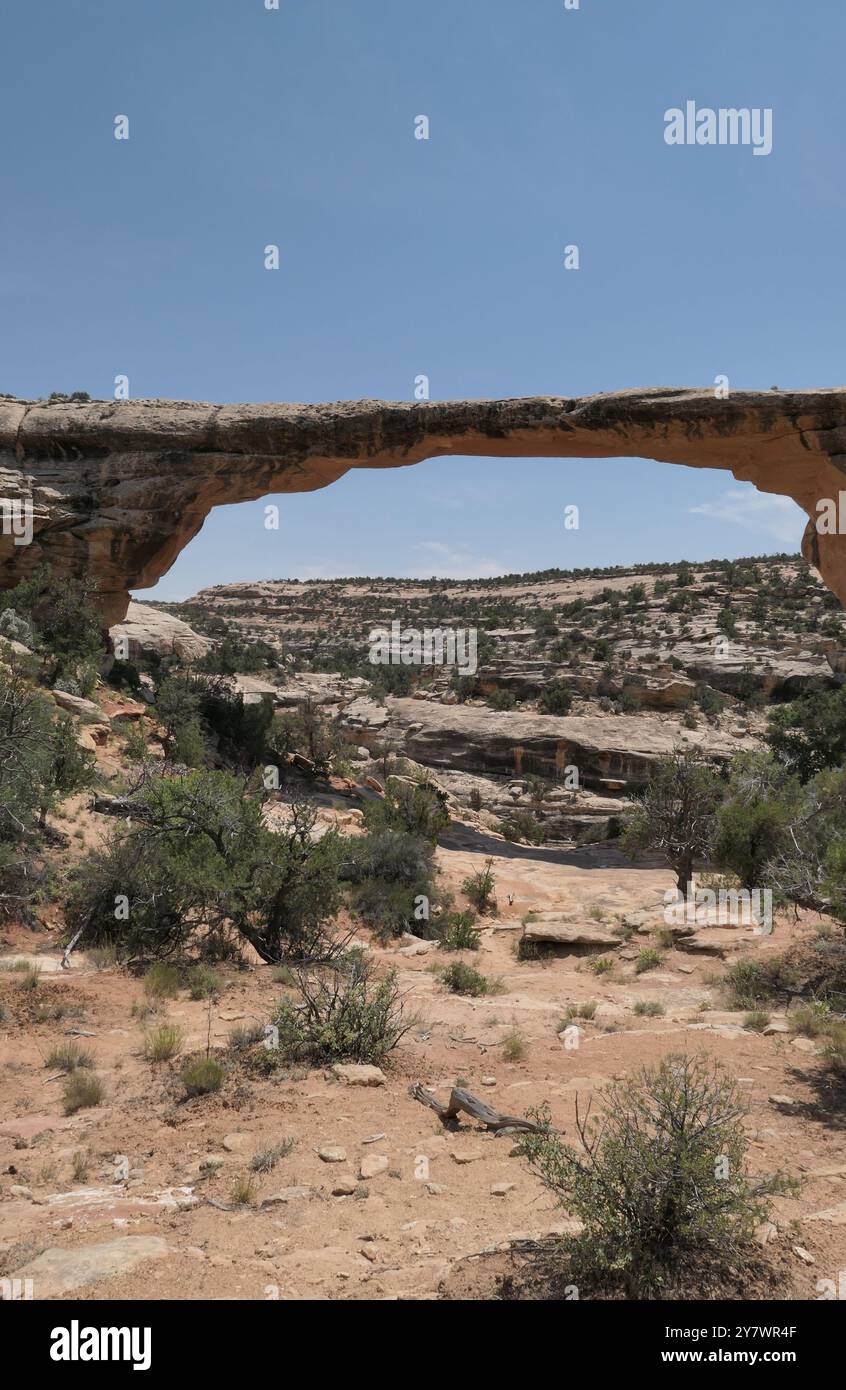 Owachomo Bridge Overlook and Trail, Natural Bridges National Monument ...