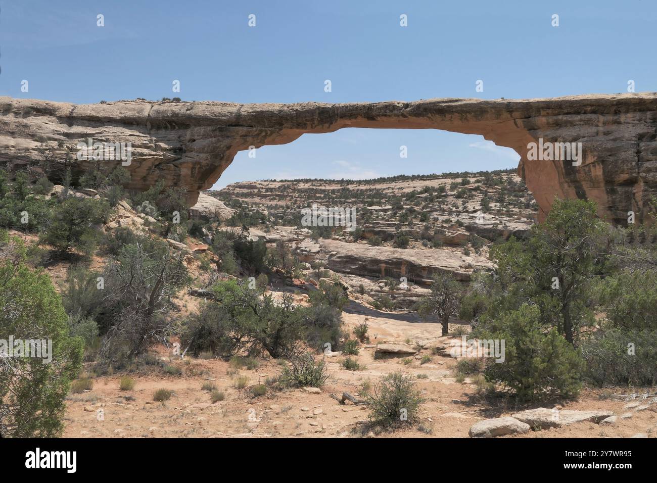 Owachomo Bridge Overlook and Trail, Natural Bridges National Monument ...