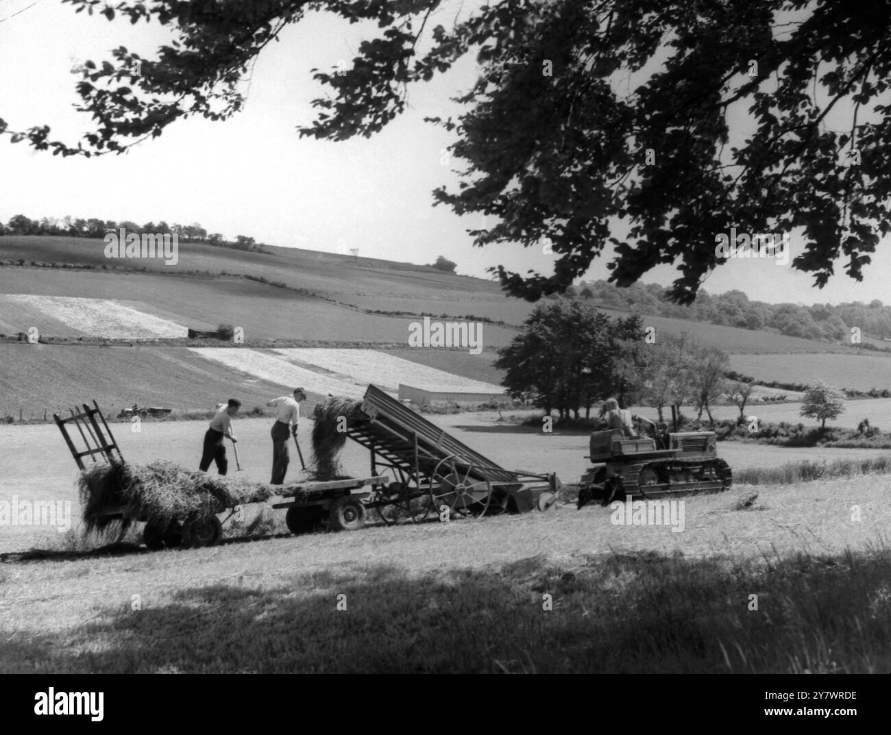 Farmers and farm hands gathering in the harvest Stock Photo - Alamy