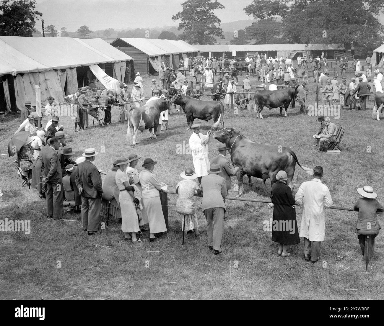 Judging animals Black and White Stock Photos & Images - Alamy