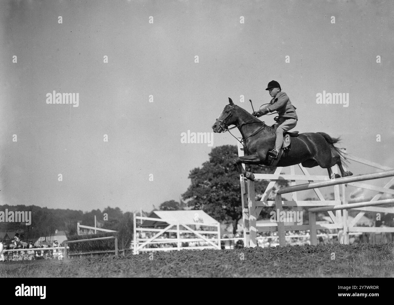 Tunbridge Wells and South Eastern Counties Show at Tunbridge Wells ...