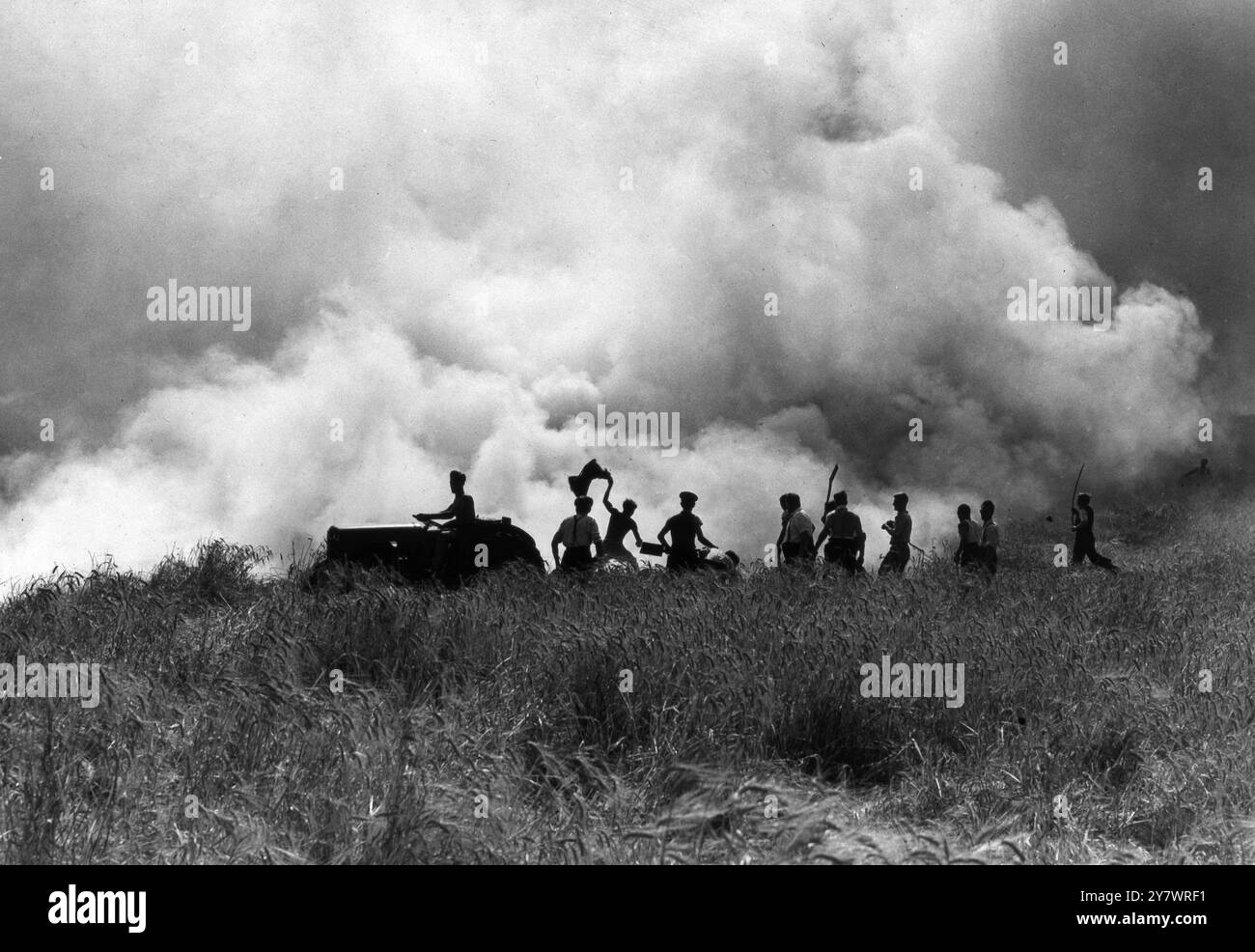 Beating out a crop fire ©TopFoto Stock Photo - Alamy