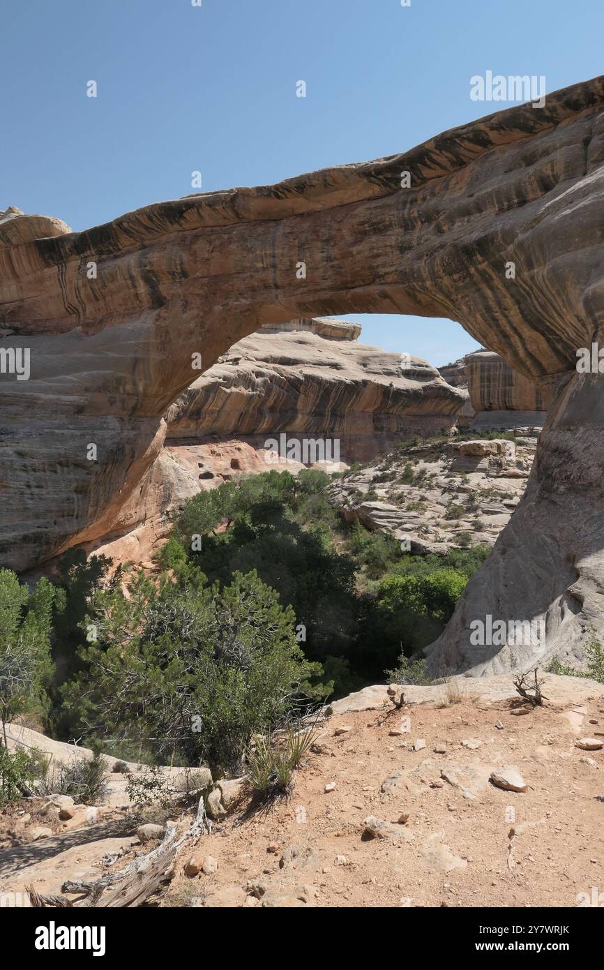 Sipapu Arch natural bridge, Natural Bridges National Monument, Utah ...