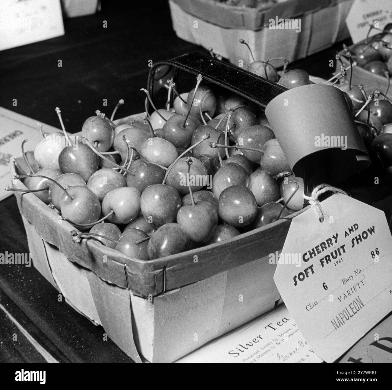 Punnet of Napoleon or Royal Ann cherries - Cherry and Soft Fruit Show ...