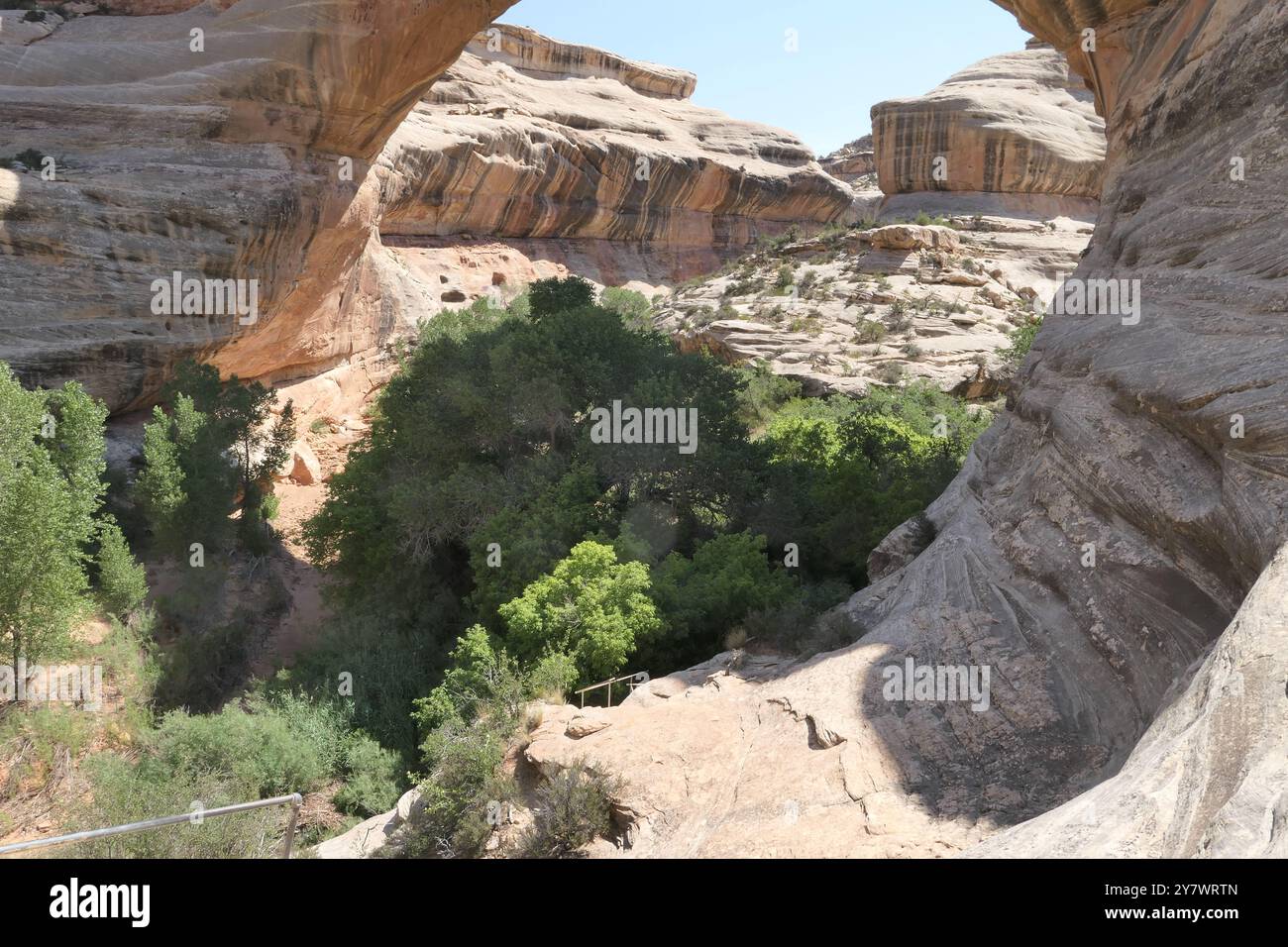 Sipapu Arch natural bridge, Natural Bridges National Monument, Utah ...