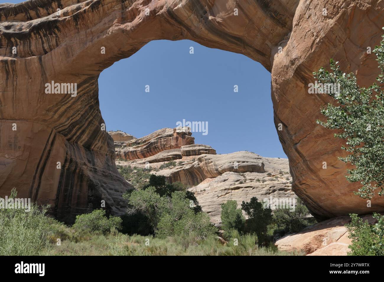 Sipapu Arch natural bridge, Natural Bridges National Monument, Utah ...
