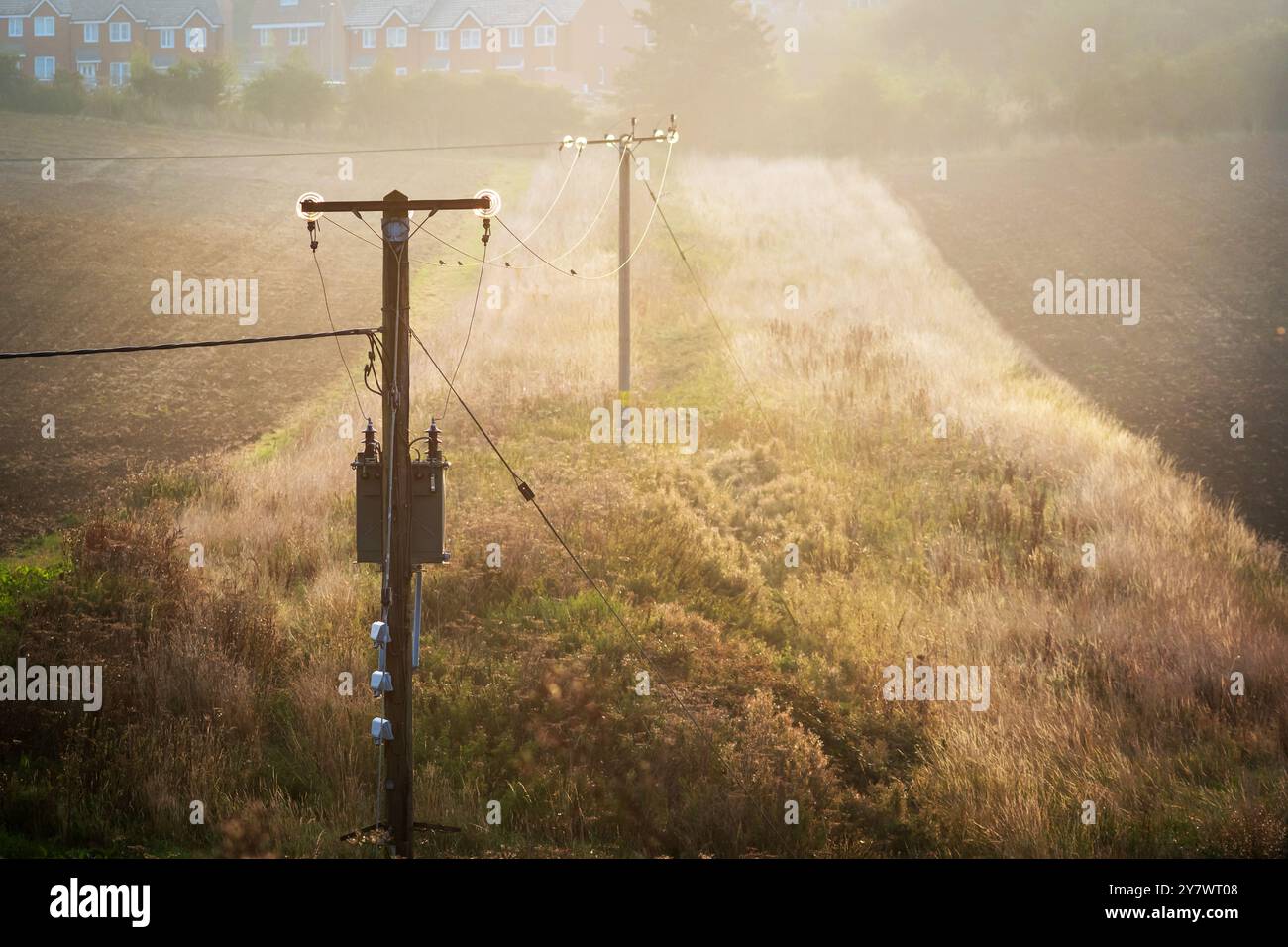 Utility pole and power lines in a lush green countryside in england uk ...