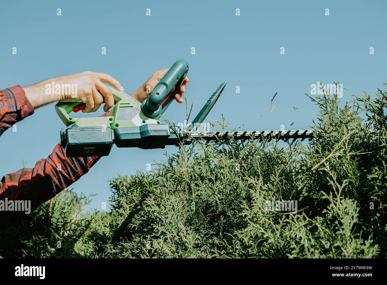 Tree cutting fence hi-res stock photography and images - Alamy