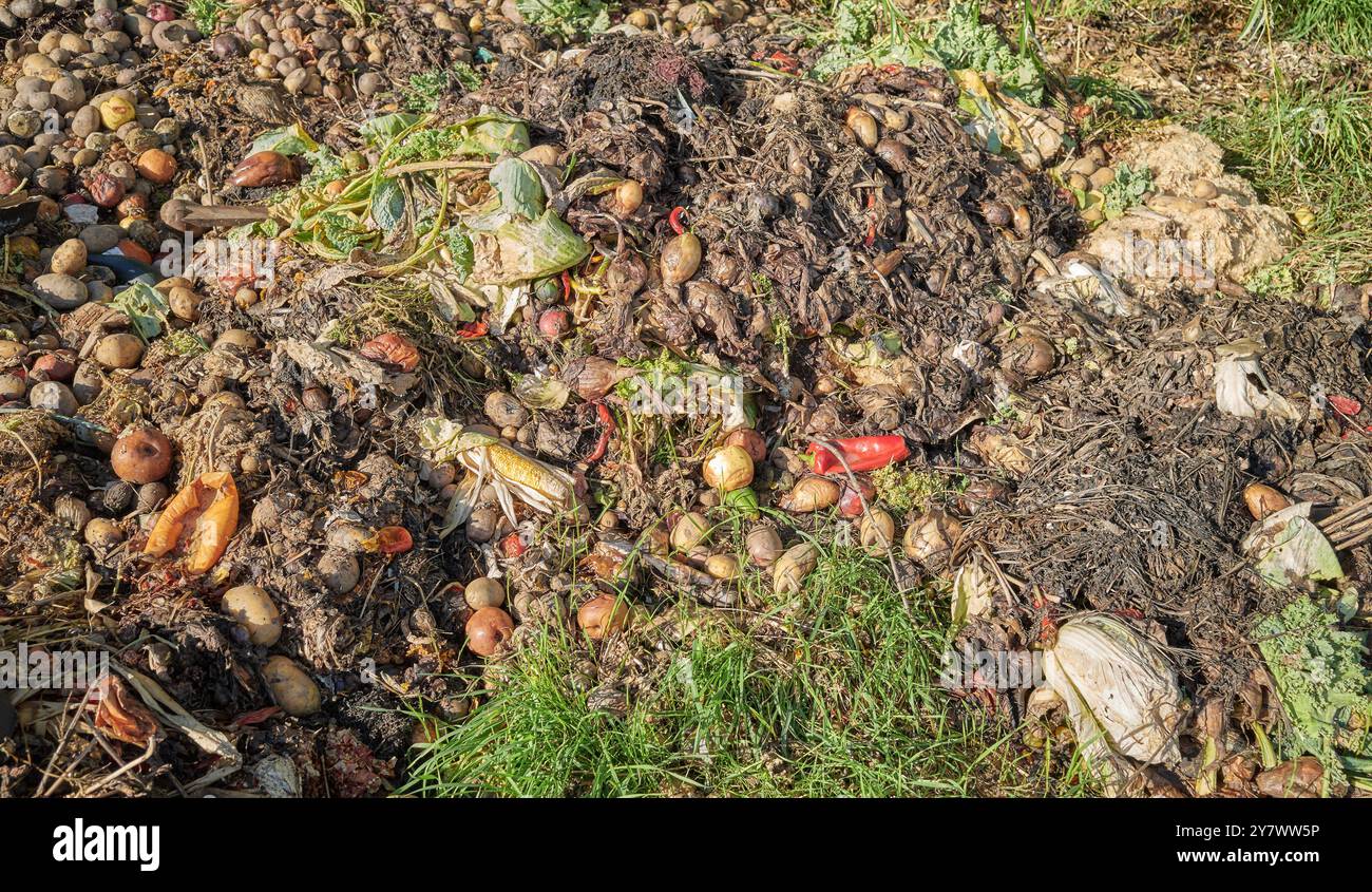 Compost pile made of organic vegetable and fruit waste mix Stock Photo ...