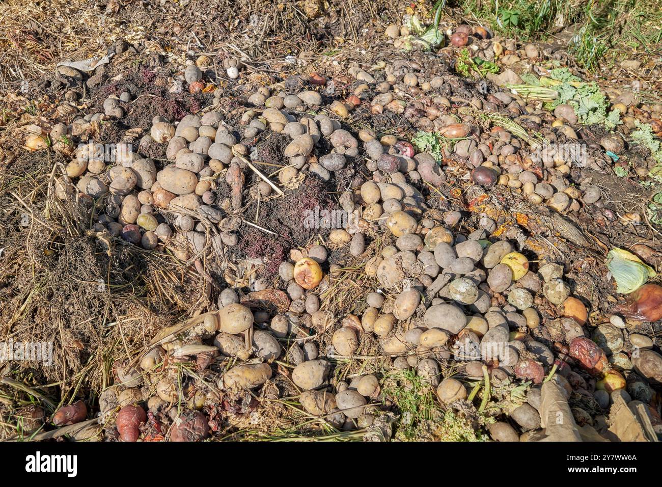Compost pile made of organic vegetable and fruit waste mix Stock Photo ...