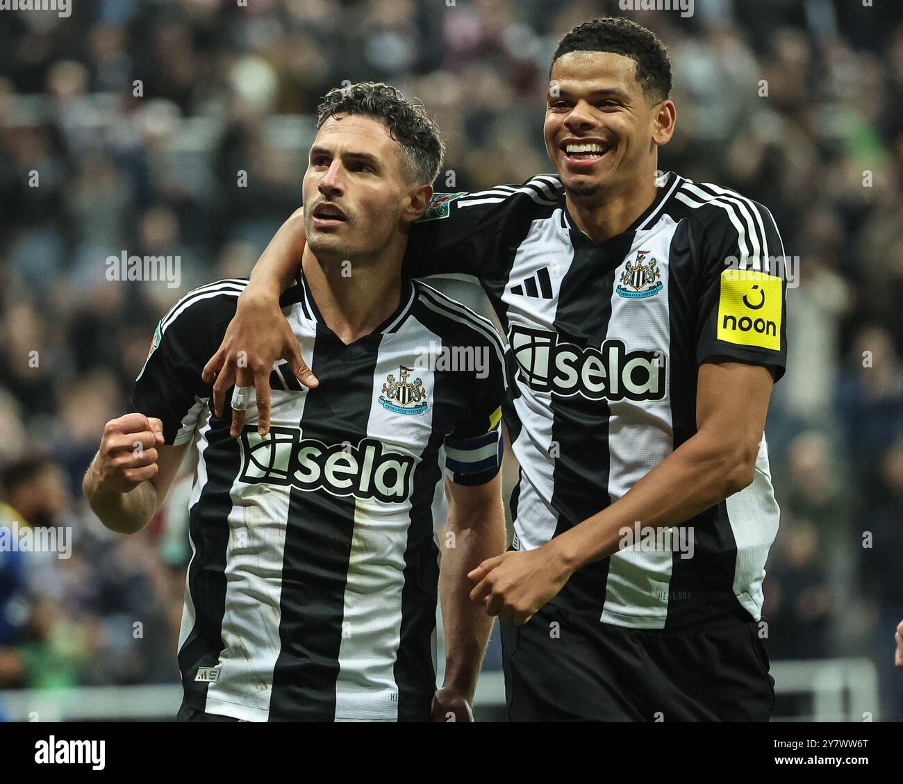 William schar hi-res stock photography and images - Alamy