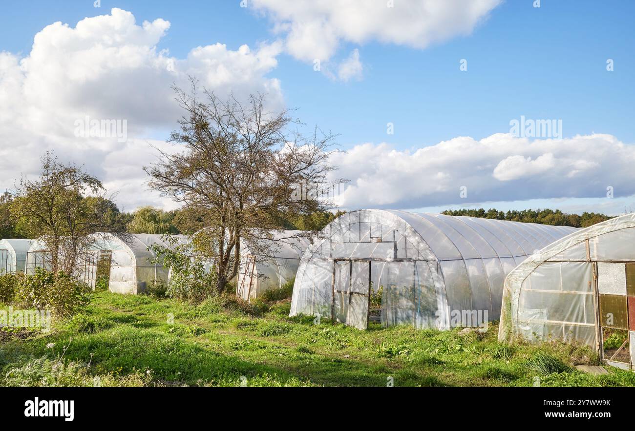 Photo of an organic vegetable farm with polytunnels Stock Photo - Alamy