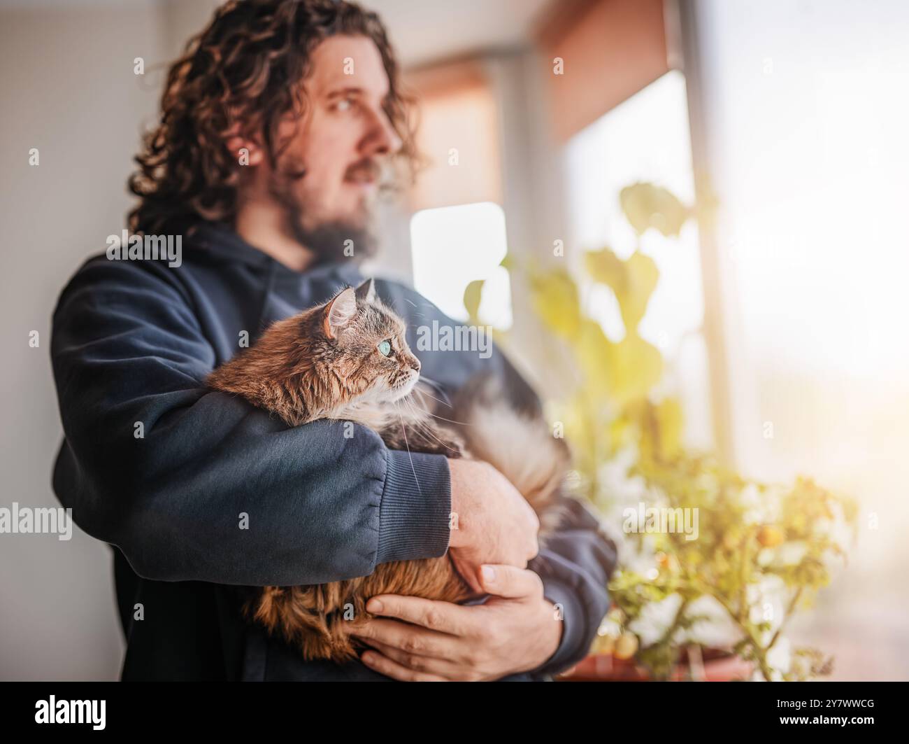 Man hugging a cat by the window on sunset Stock Photo - Alamy