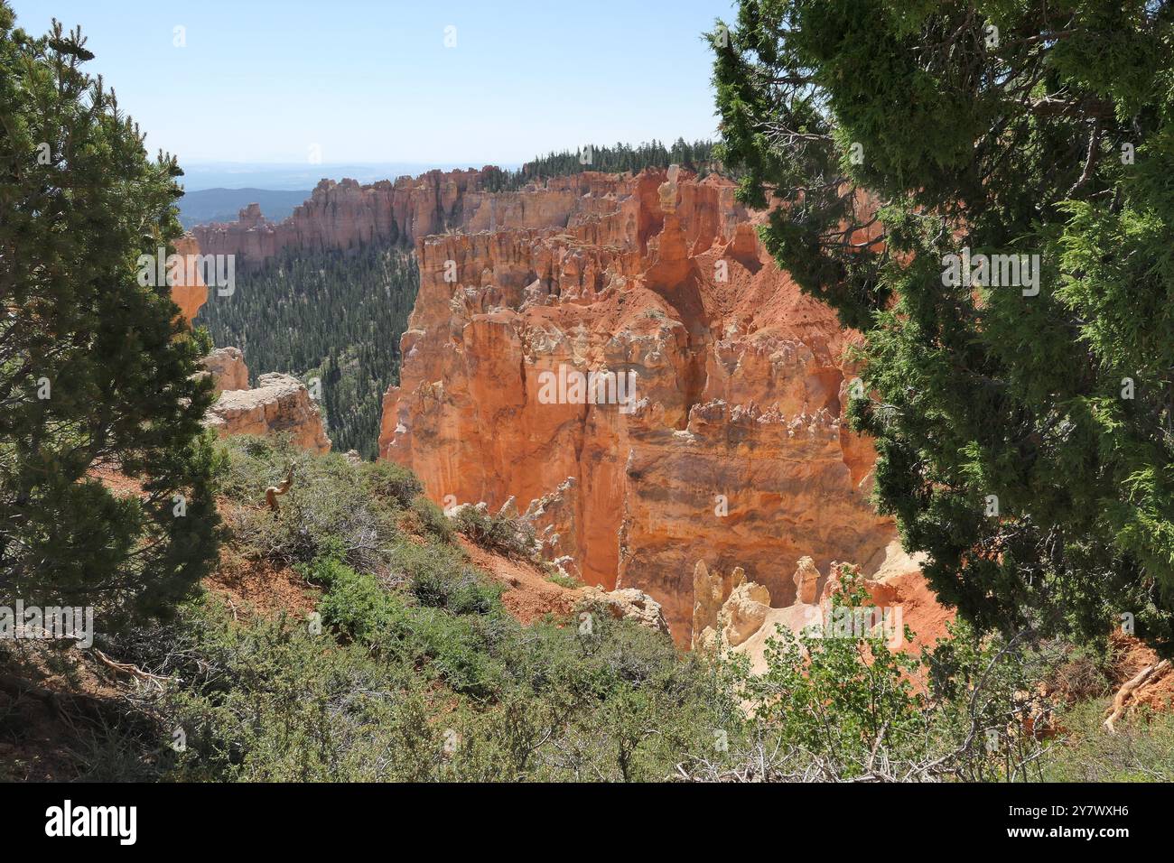 View of geologic forces weathering strata into hoodoos viewed from Agua ...