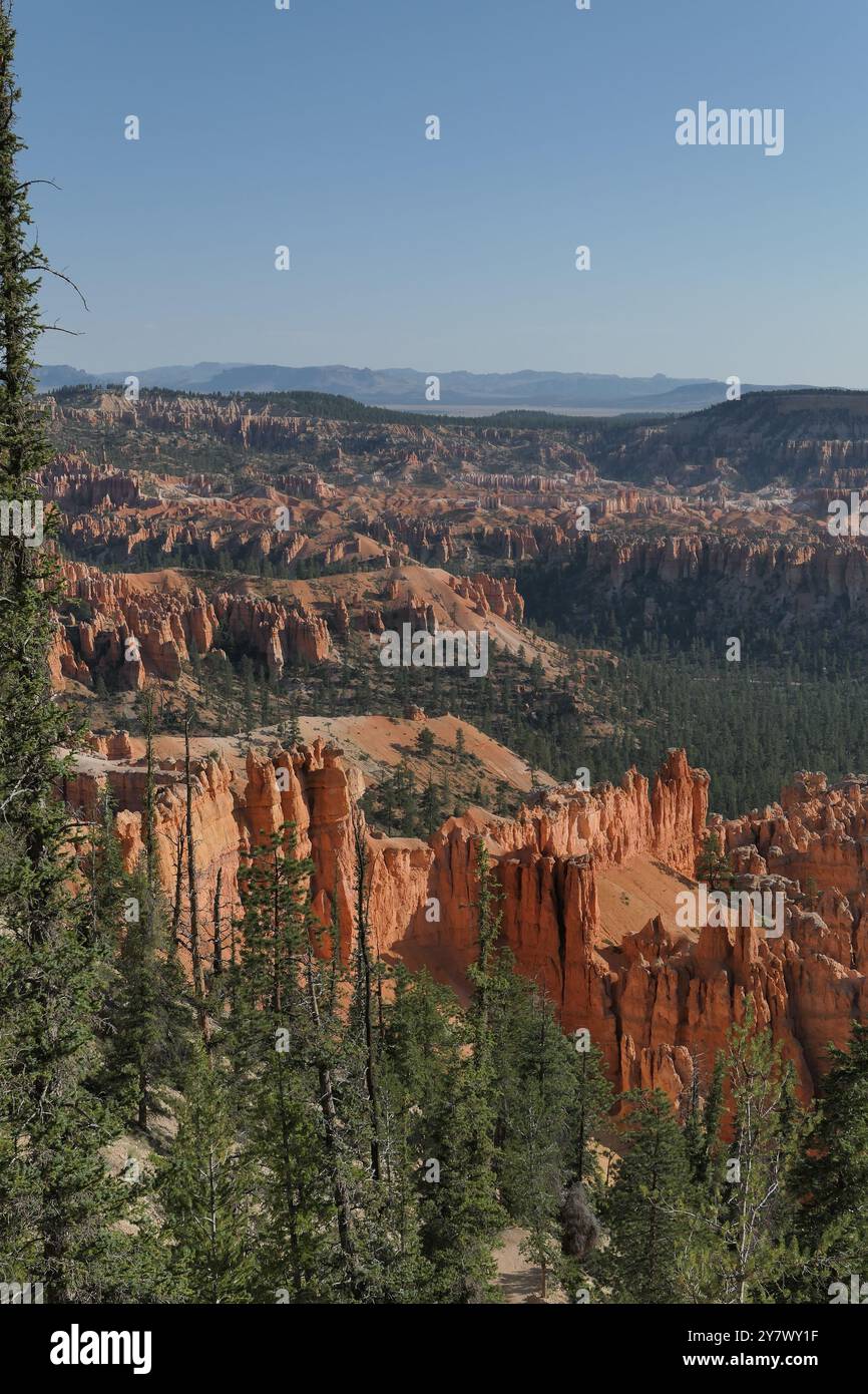 Hoodoos, forested amphitheater., and colorful stratified geologic ...