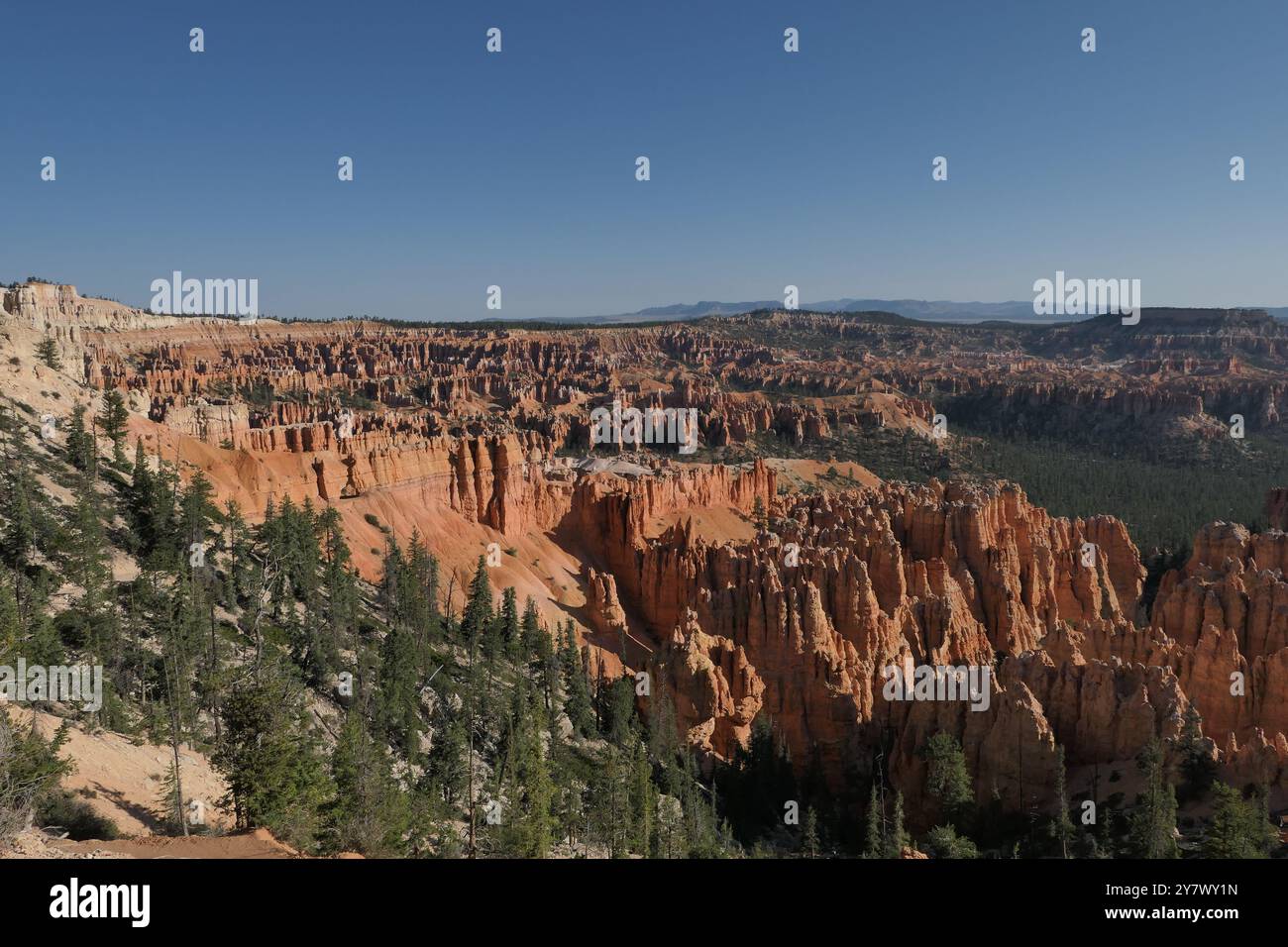Hoodoos, forested amphitheater., and colorful stratified geologic strata from Bryce Point ...