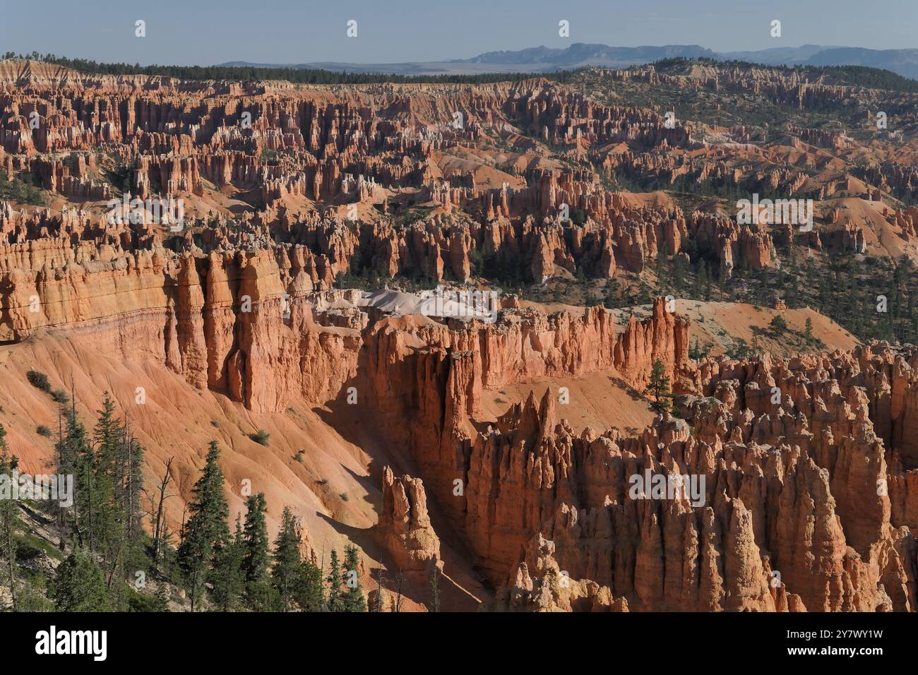 Hoodoos, forested amphitheater., and colorful stratified geologic ...