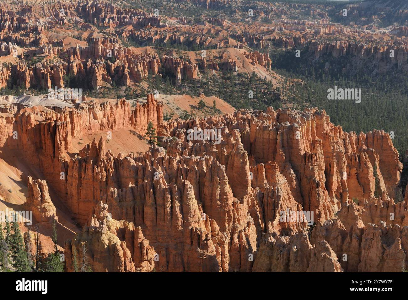Hoodoos, forested amphitheater., and colorful stratified geologic ...