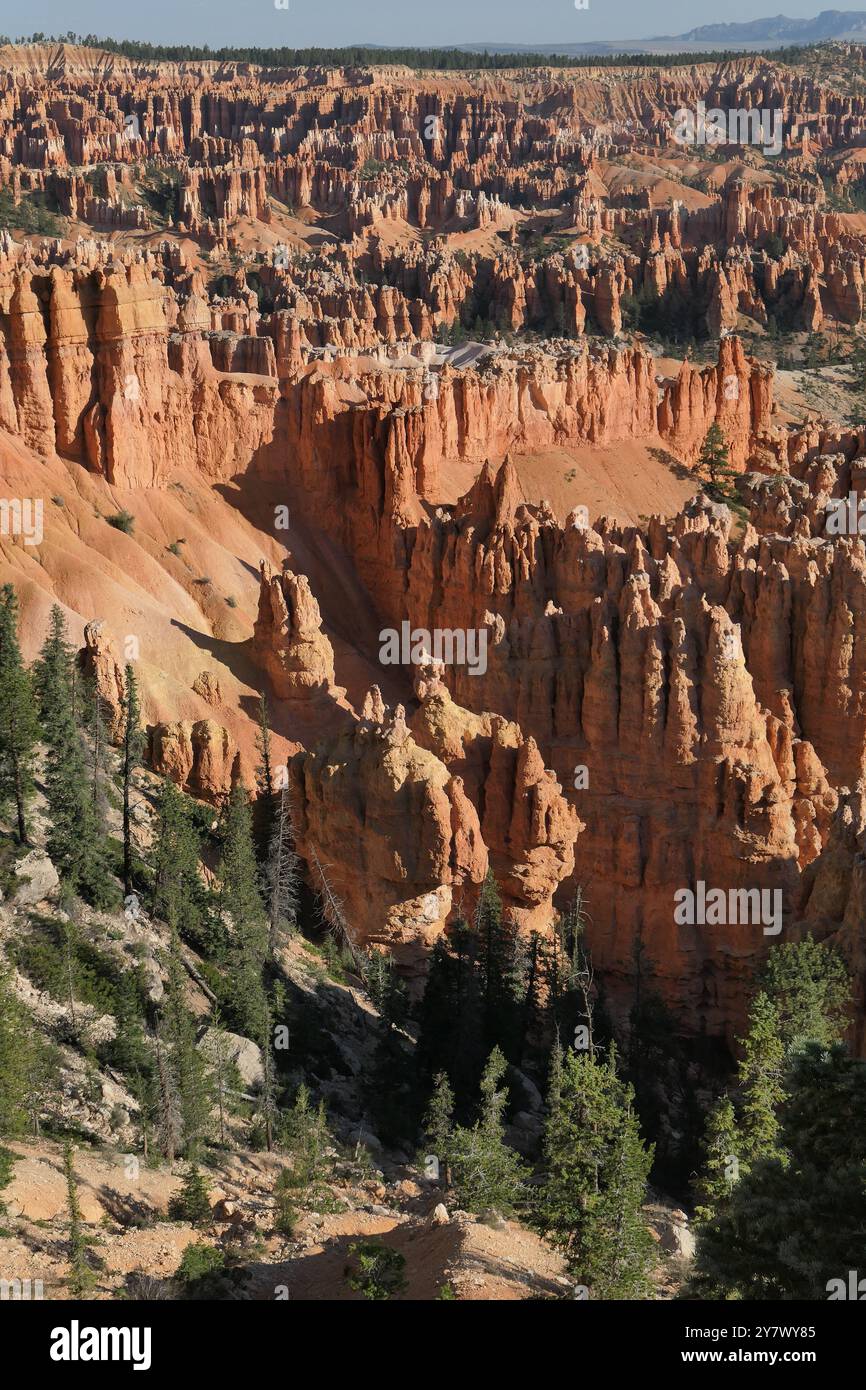 Hoodoos, forested amphitheater., and colorful stratified geologic ...