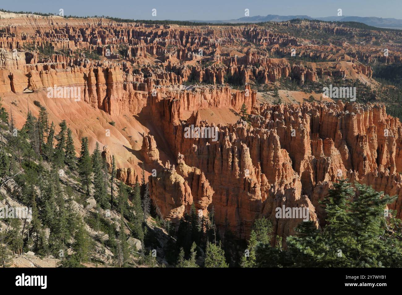 Hoodoos, forested amphitheater., and colorful stratified geologic ...