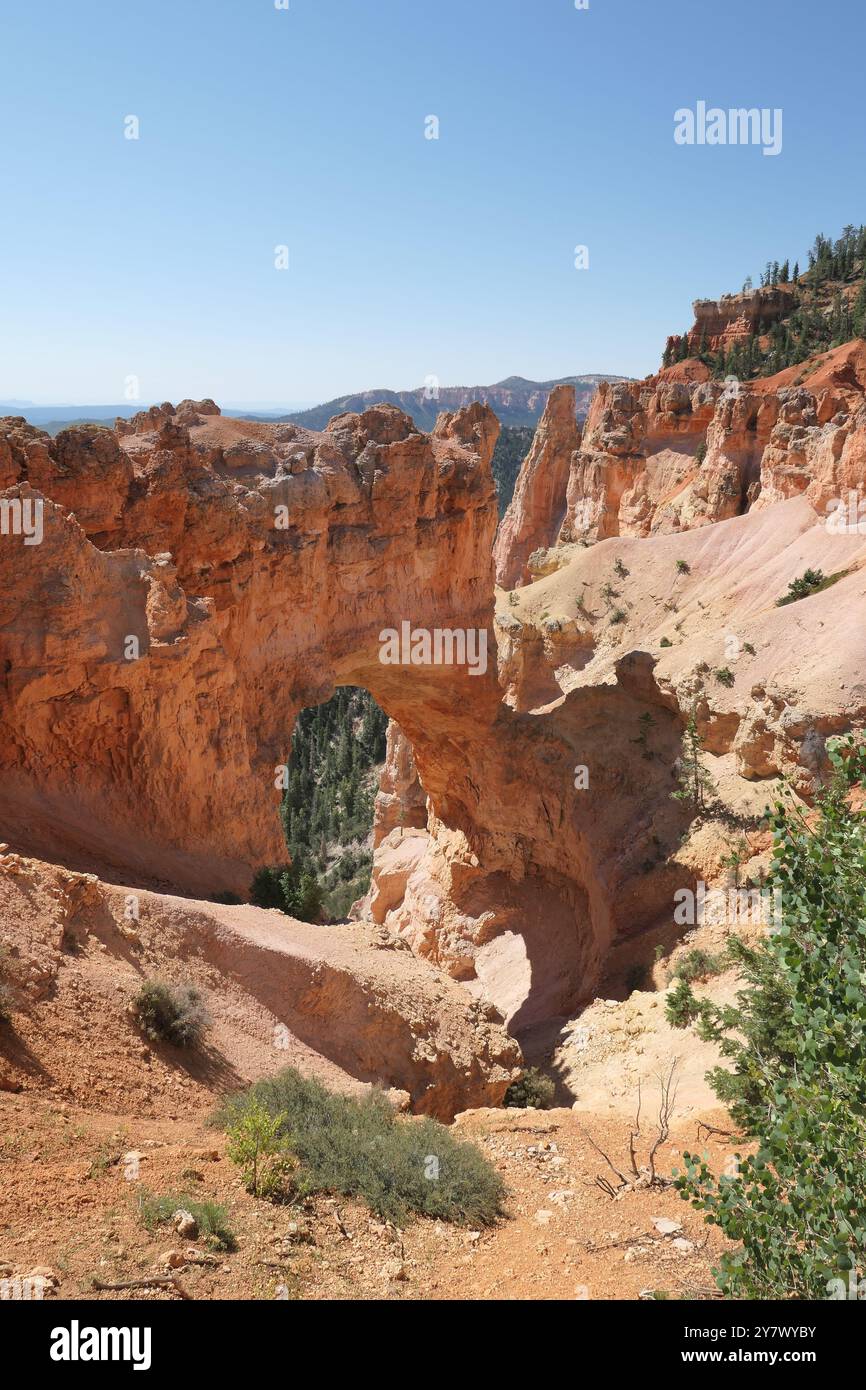 Arch formed by geologic erosion processes from Natural Bridge Arch ...