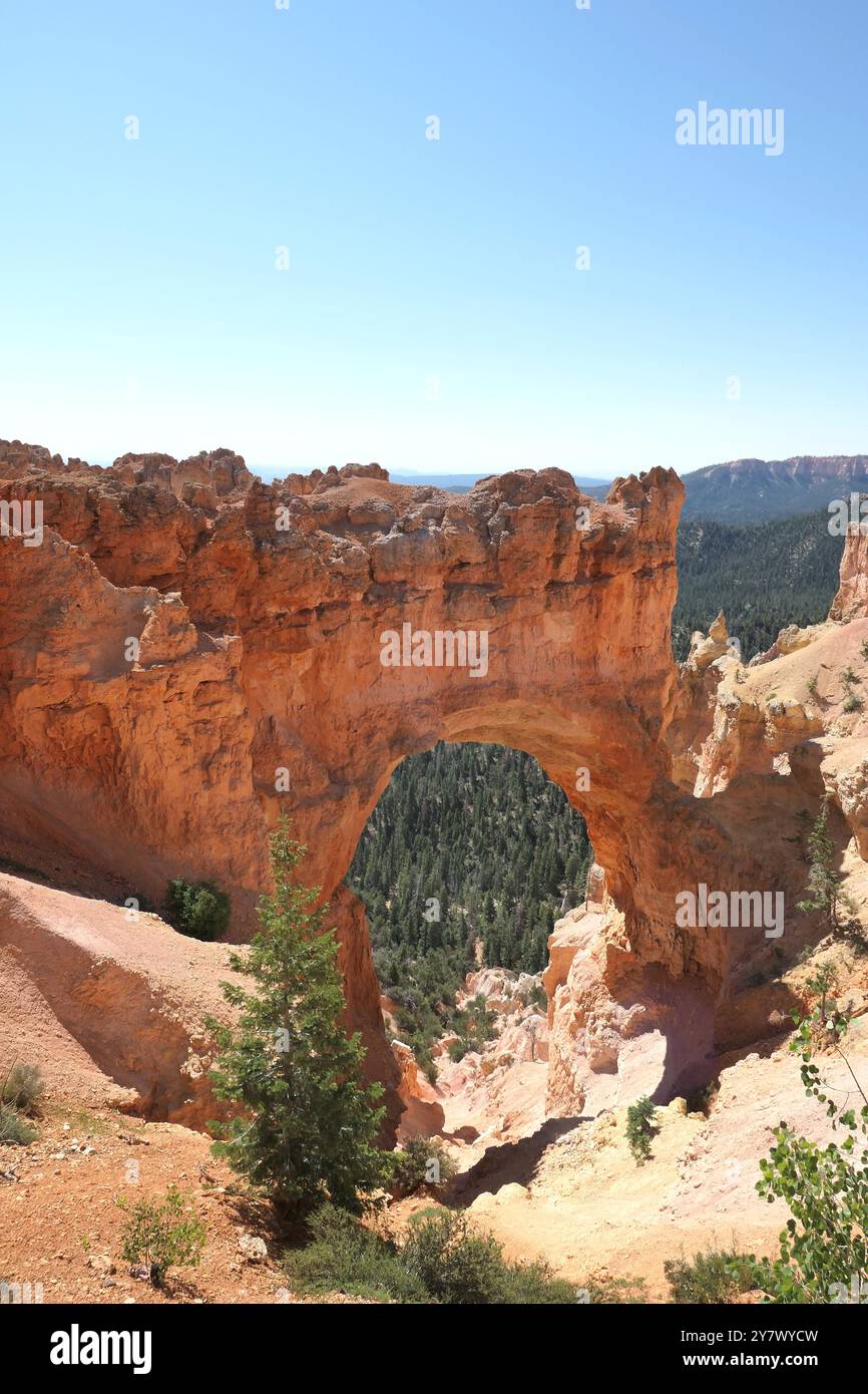 Arch formed by geologic erosion processes from Natural Bridge Arch ...