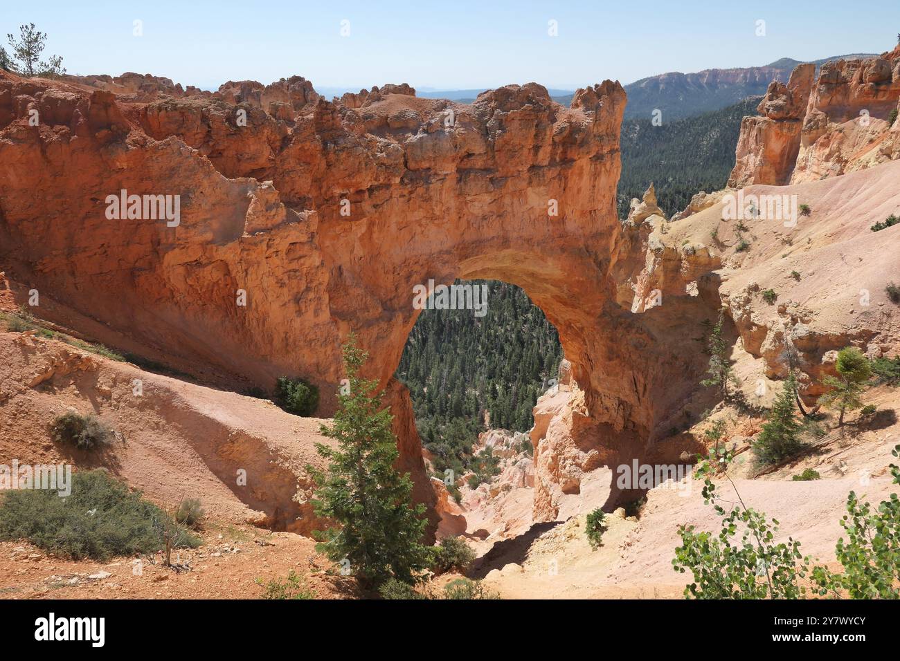 Arch formed by geologic erosion processes from Natural Bridge Arch ...