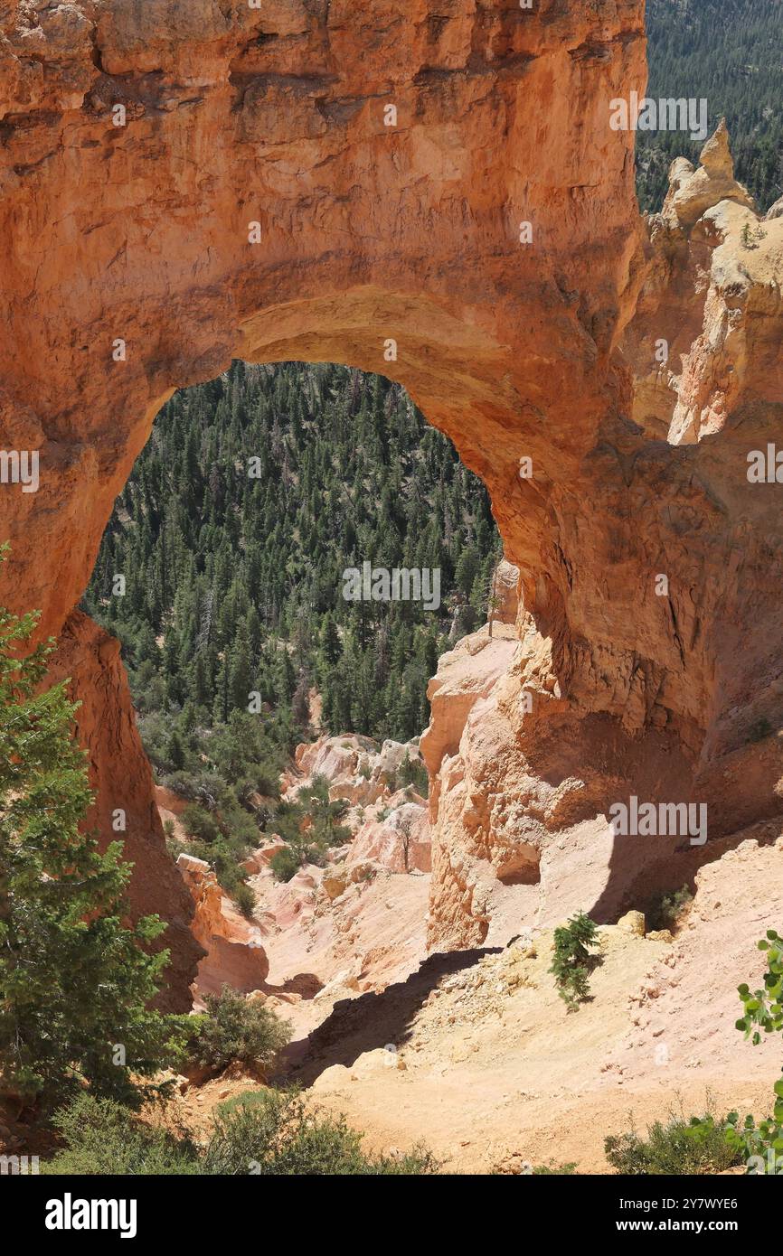 Arch formed by geologic erosion processes from Natural Bridge Arch ...