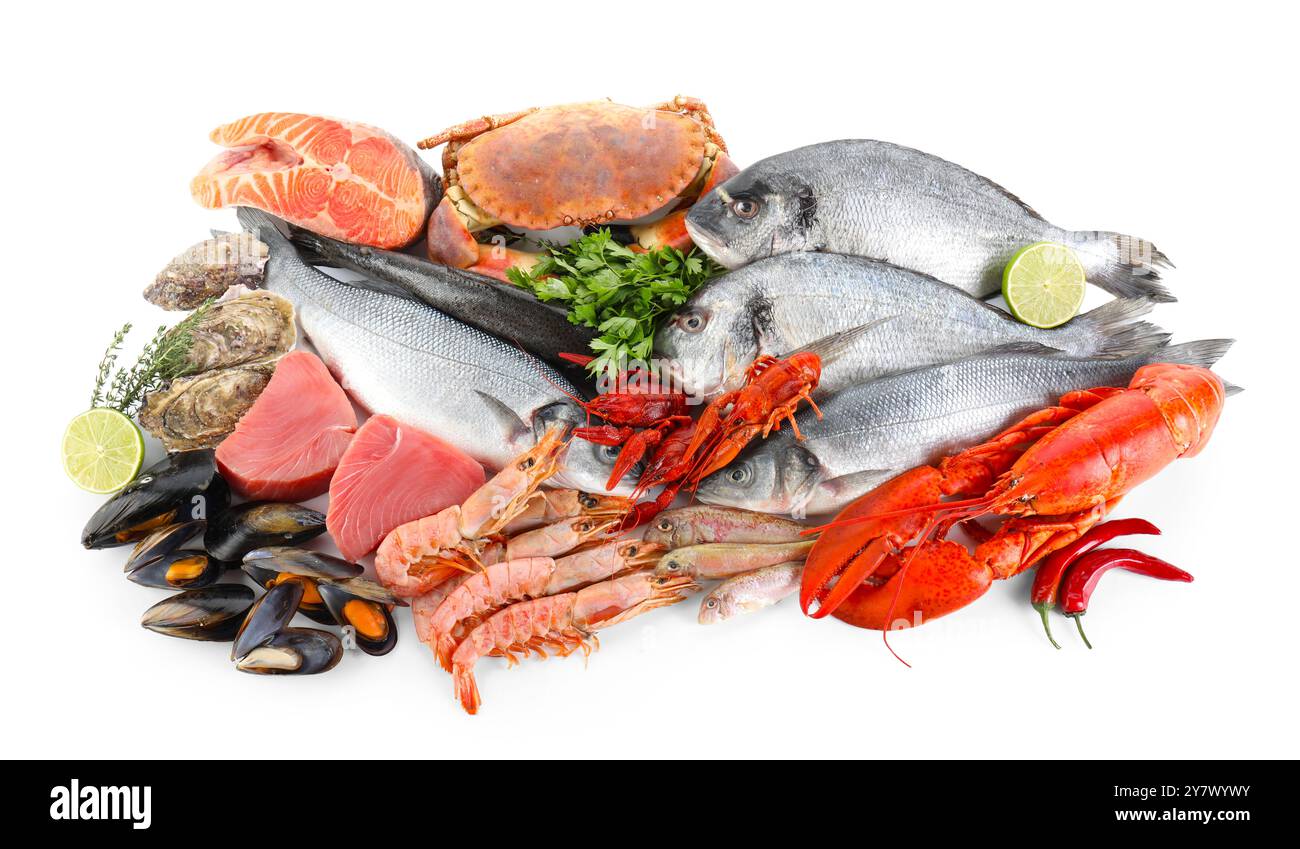 Fresh fish and different sea food isolated on white, top view Stock ...
