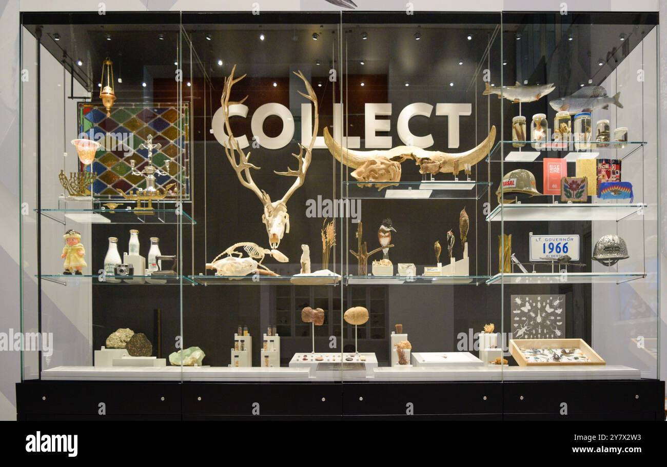 Display case featuring a collection of animal skulls, ancient pottery ...