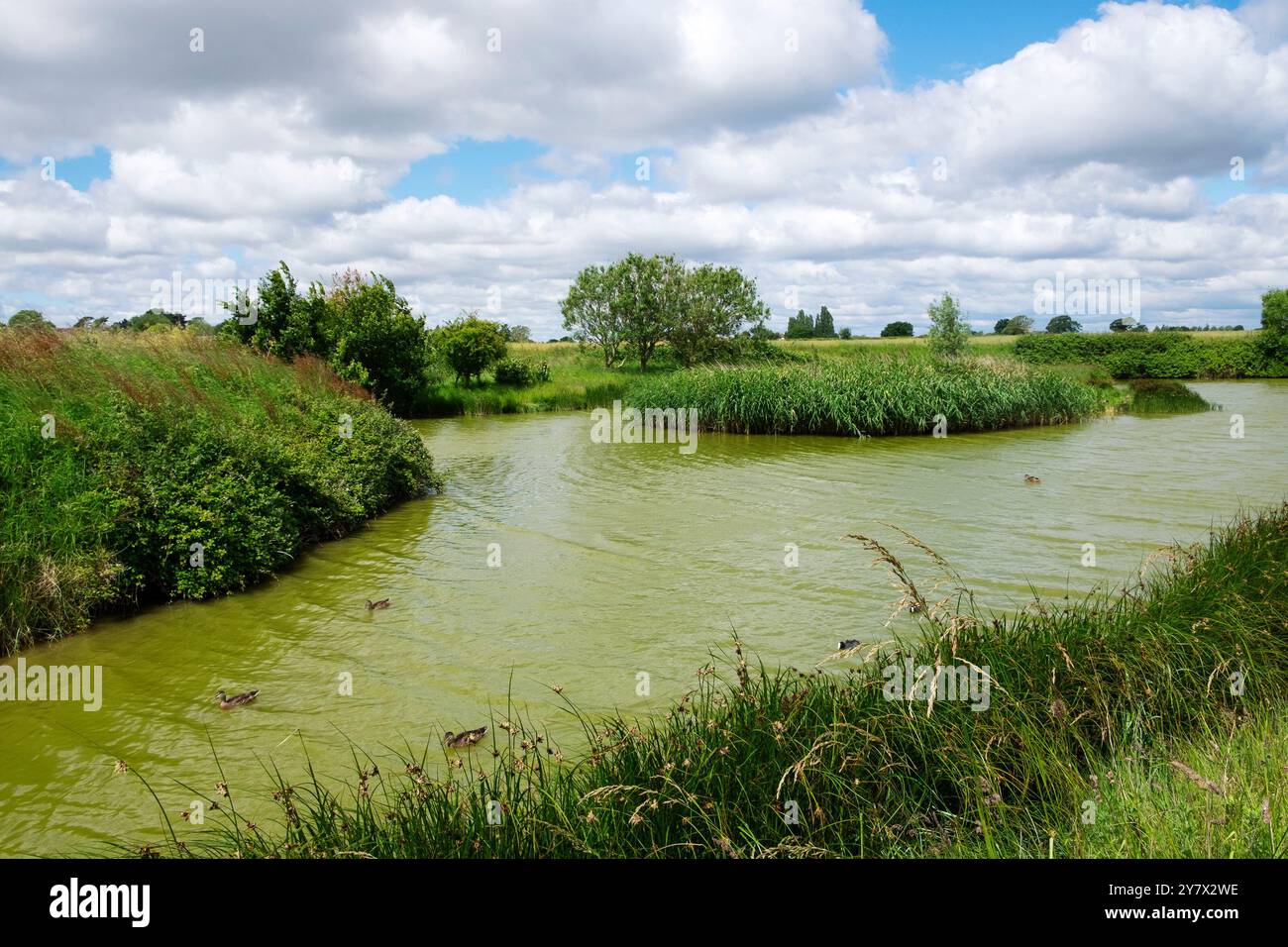 Chidham catch pond hi-res stock photography and images - Alamy