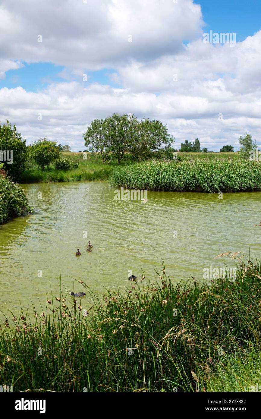 Chidham catch pond, Chidham, West Sussex Stock Photo - Alamy