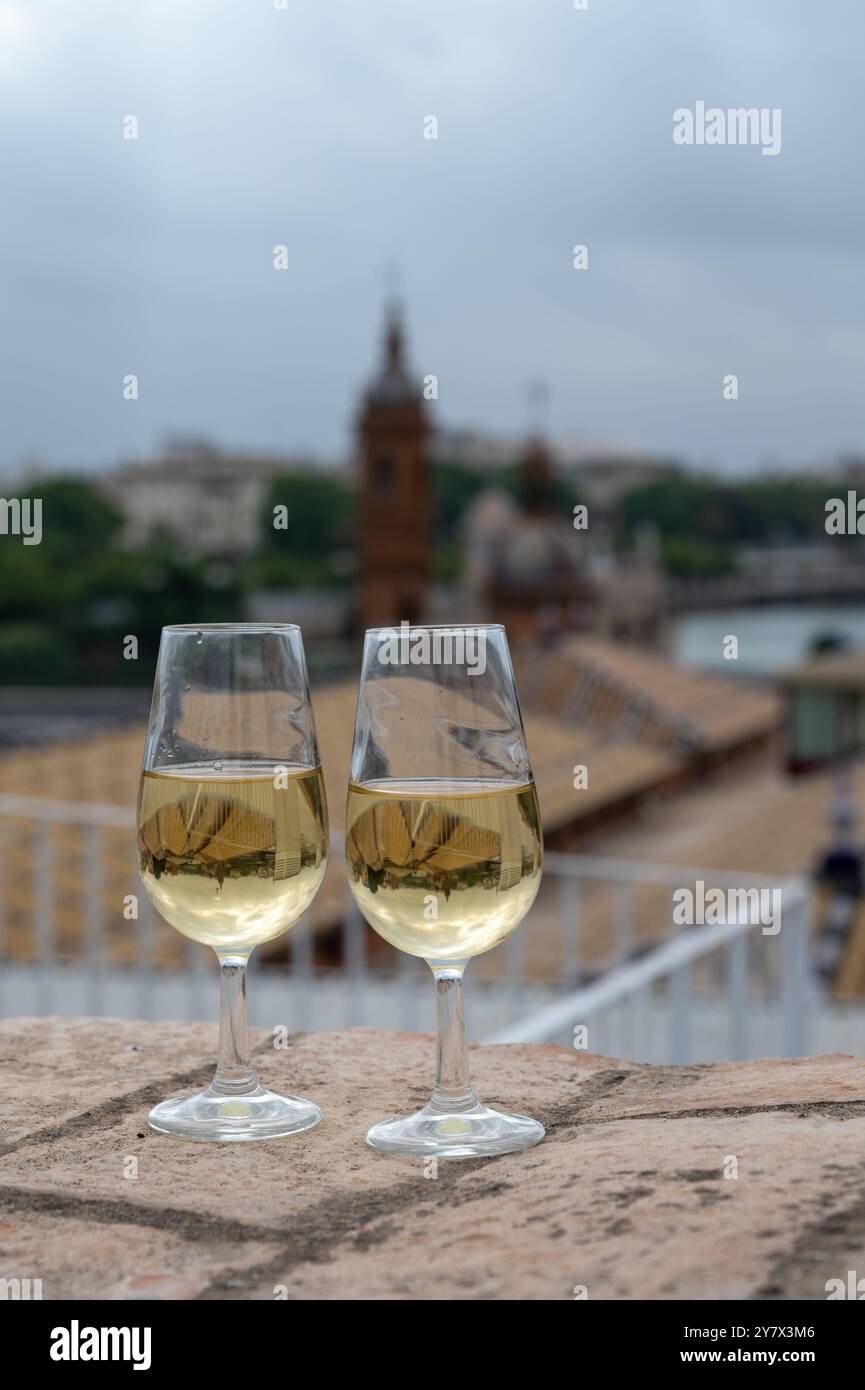 Different dry sherry jerez wine tasting on roof of old Triana district ...