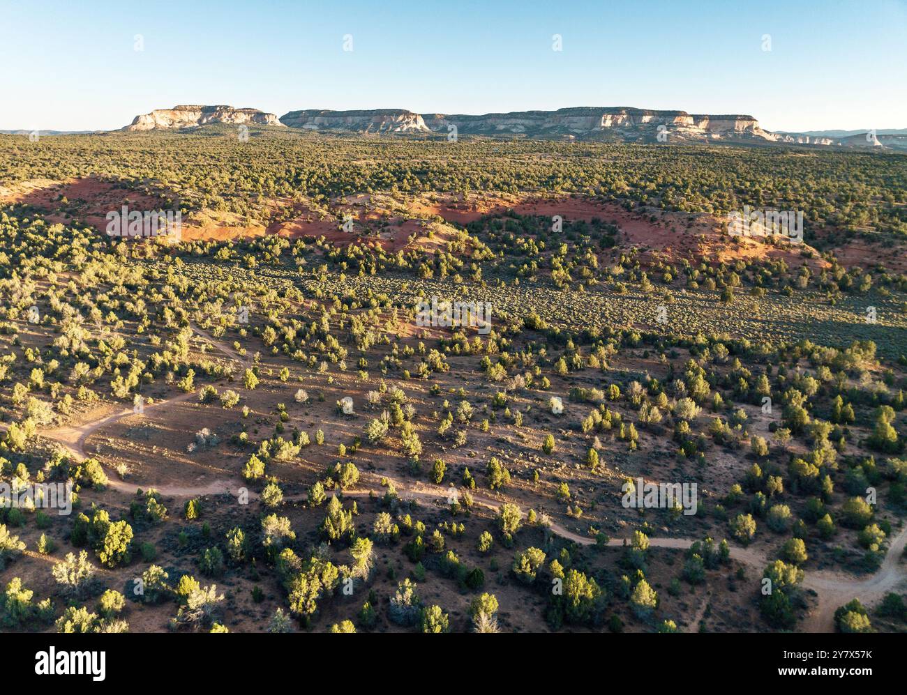 Aerial drone view of a forest outside Kanab, Utah, USA Stock Photo - Alamy