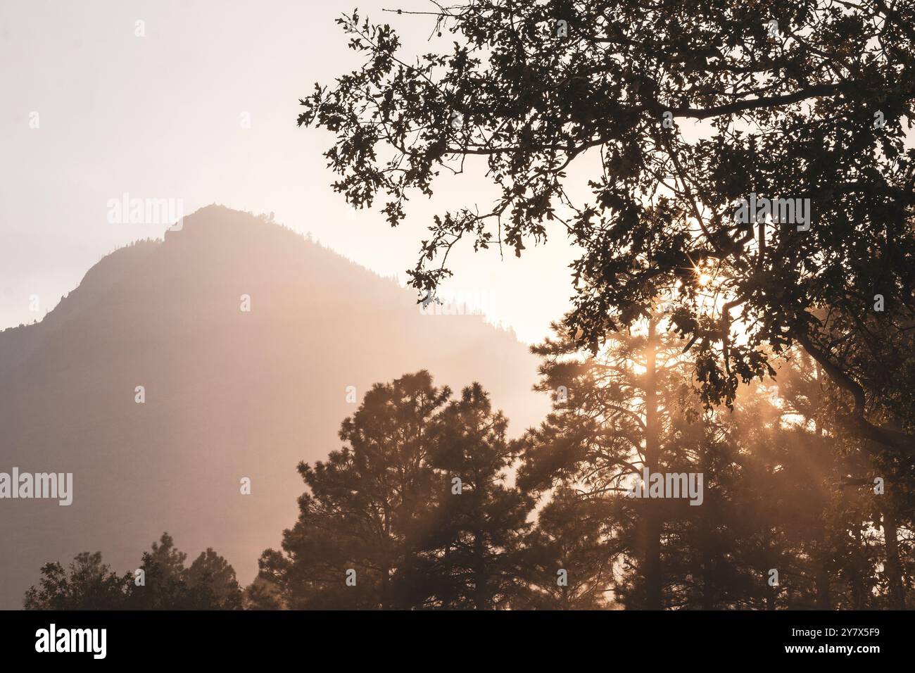 Haze from a wildfire at sunset in the San Francisco Peaks, Coconino ...