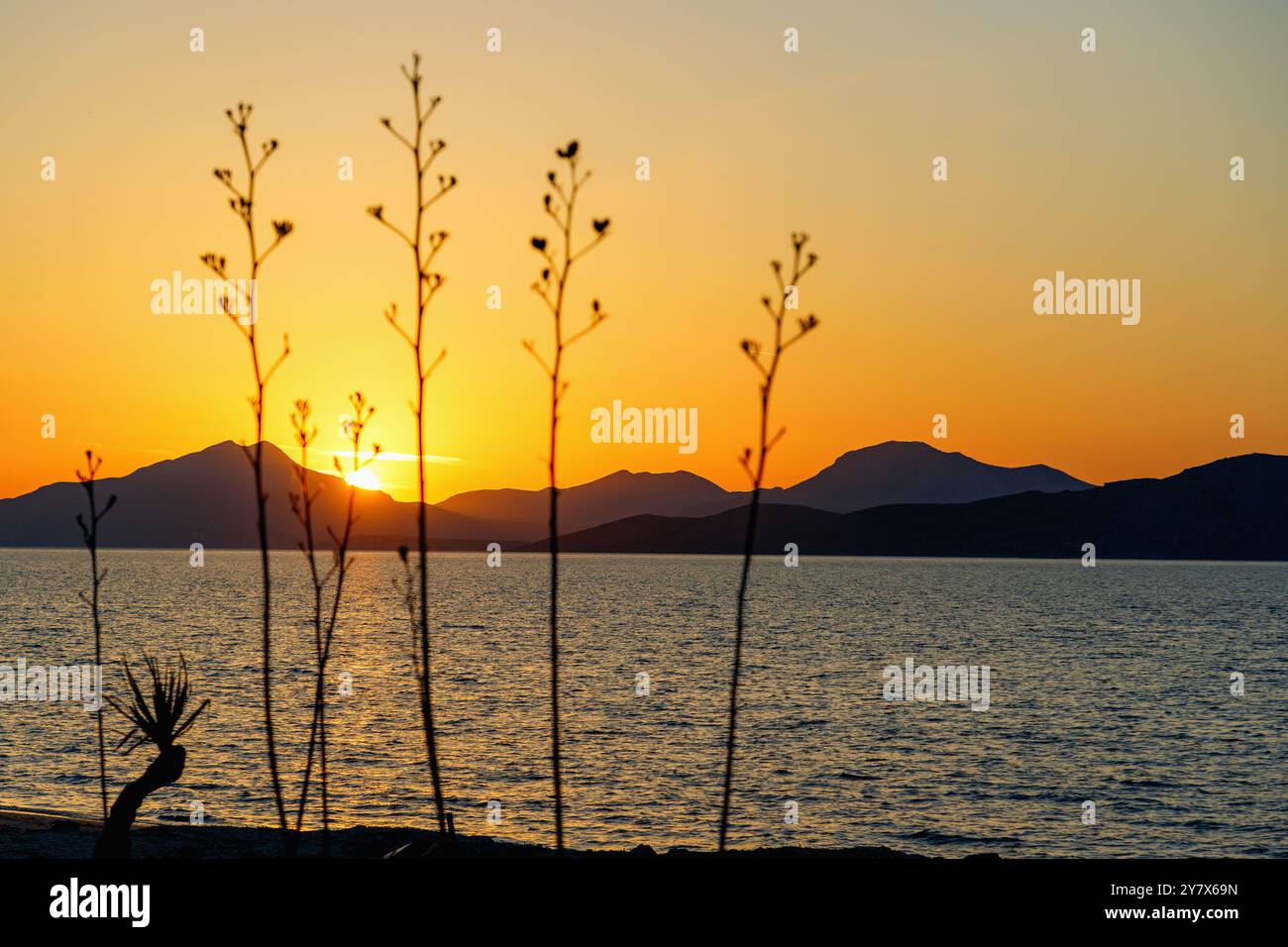 Tigaki kos hi-res stock photography and images - Alamy
