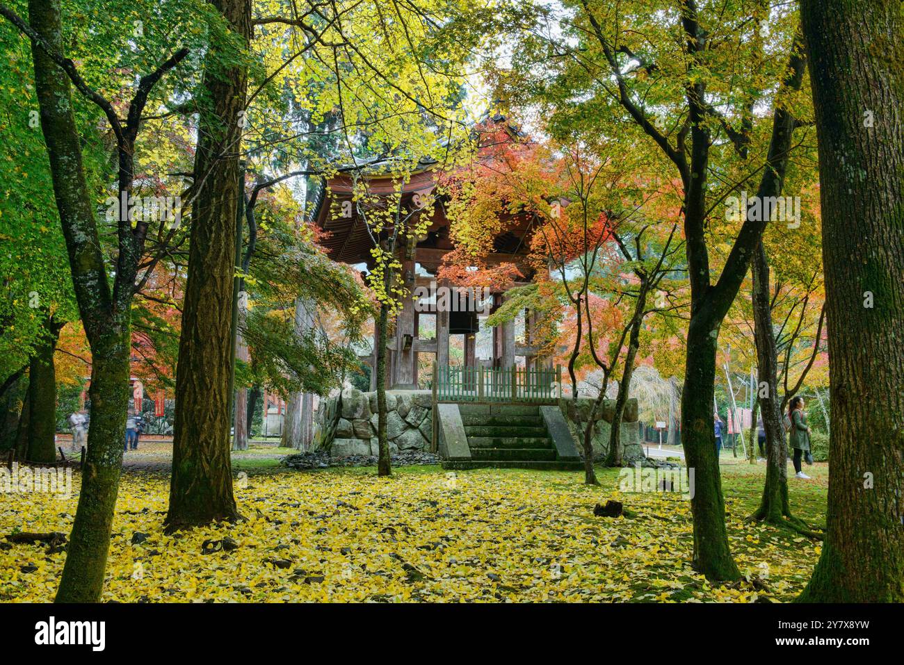 Classic autumn view at Daigo-ji Temple, Kyoto, Japan Stock Photo - Alamy